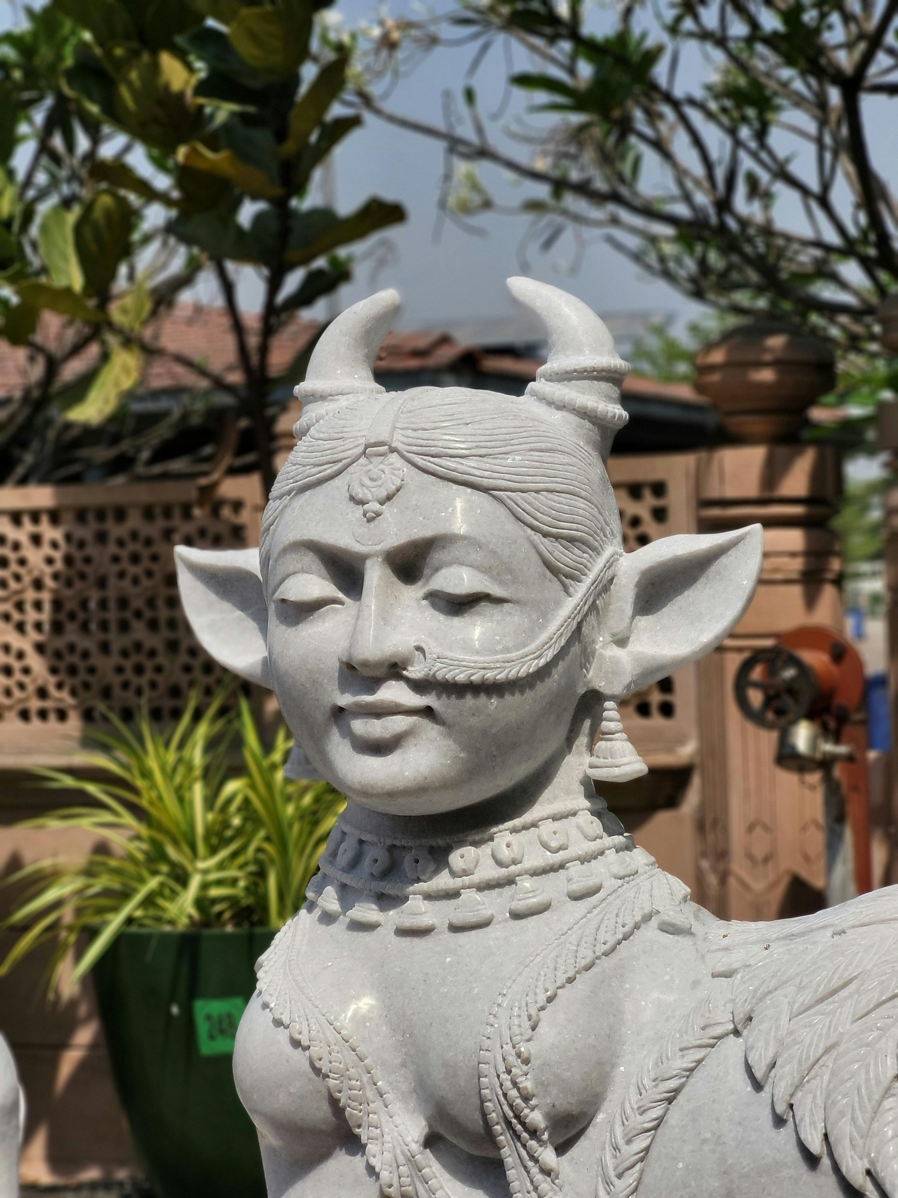 15.526+ Fotos y Imágenes de Clarity.ndc.bsnl.co.in/forms/frmservlet ...