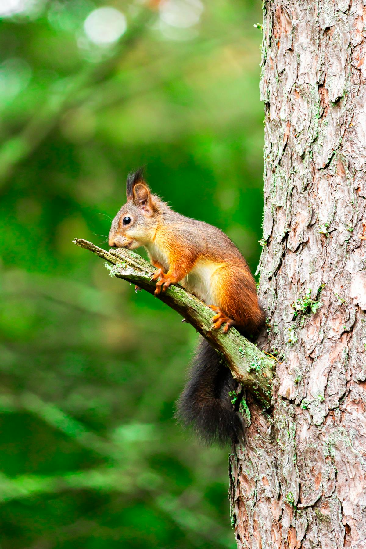 Cute+Imx+Girls Photos, Download The BEST Free Cute+Imx+Girls Stock ...