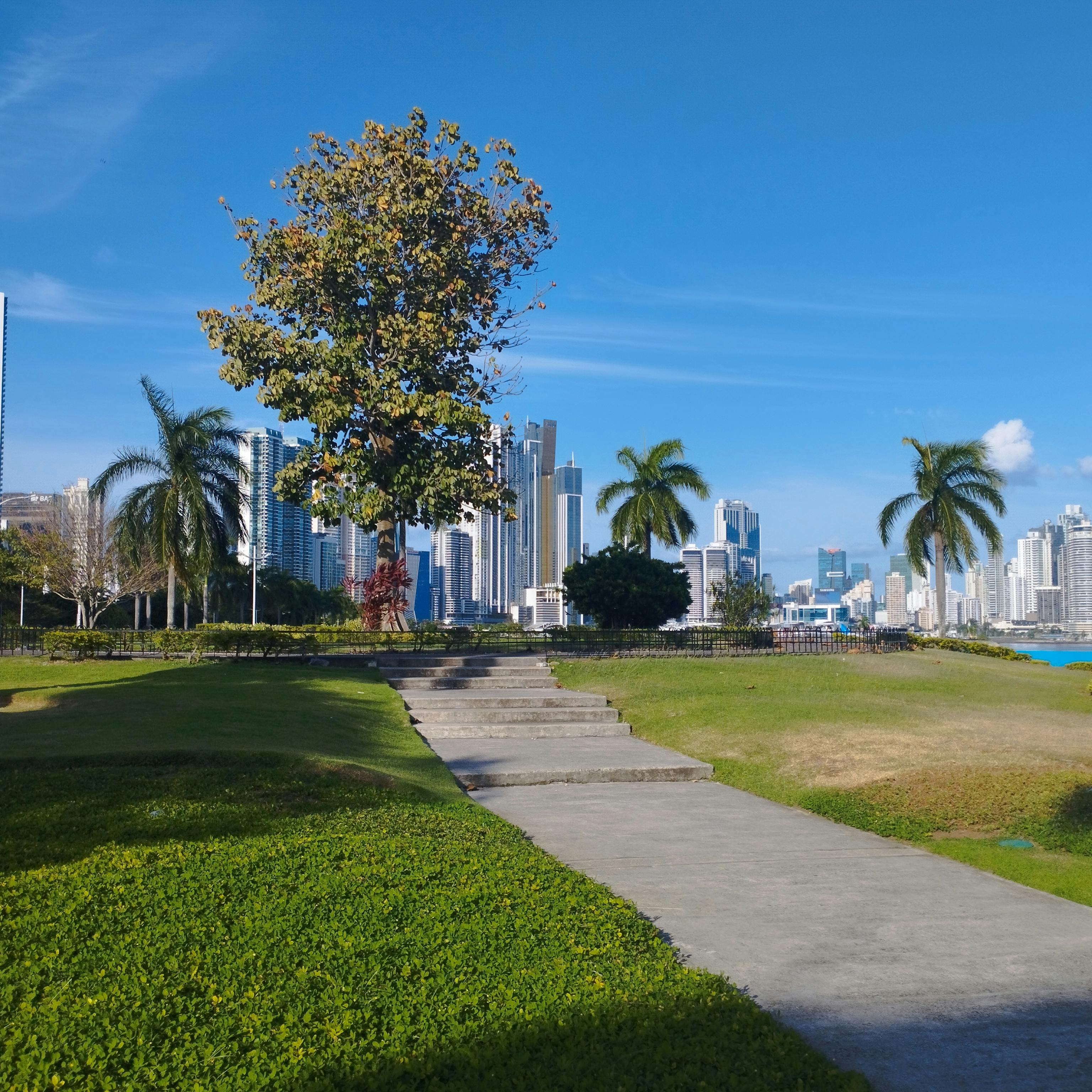 Plen Space Grass Photos, Download The BEST Free Plen Space Grass Stock ...