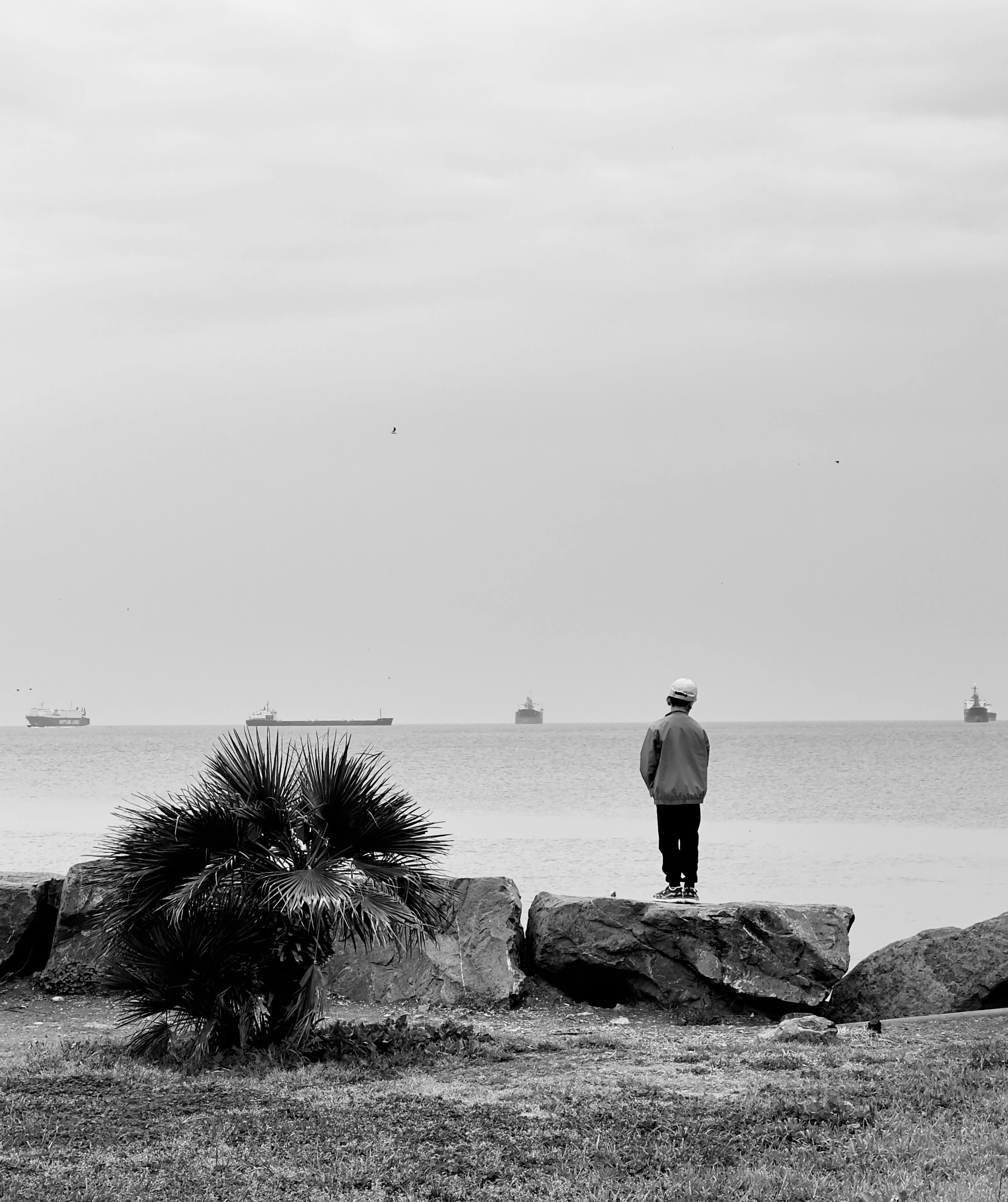 Walpaper Photos, Download The BEST Free Walpaper Stock Photos & HD Images