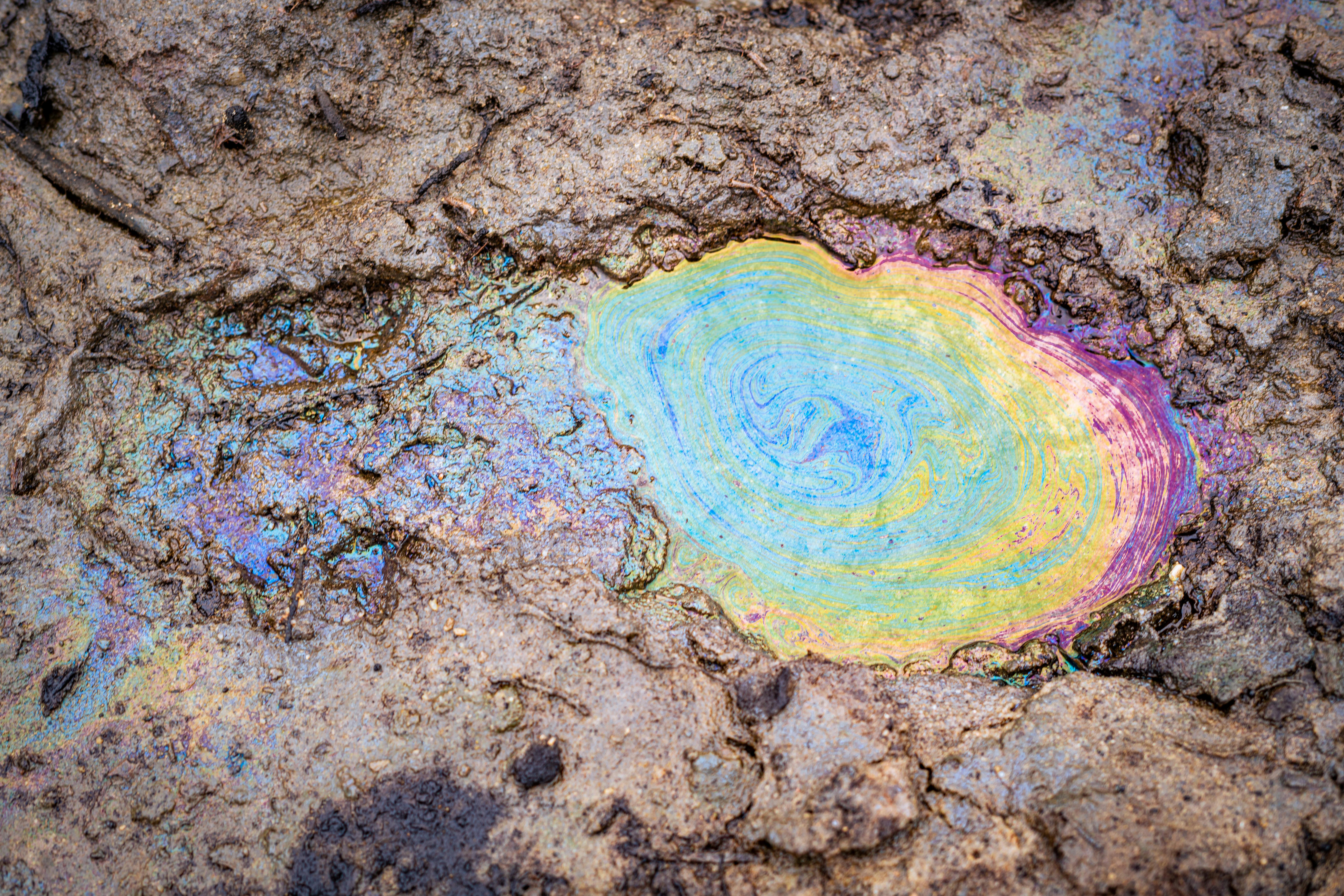 Iridescence Photos, Download The BEST Free Iridescence Stock Photos ...