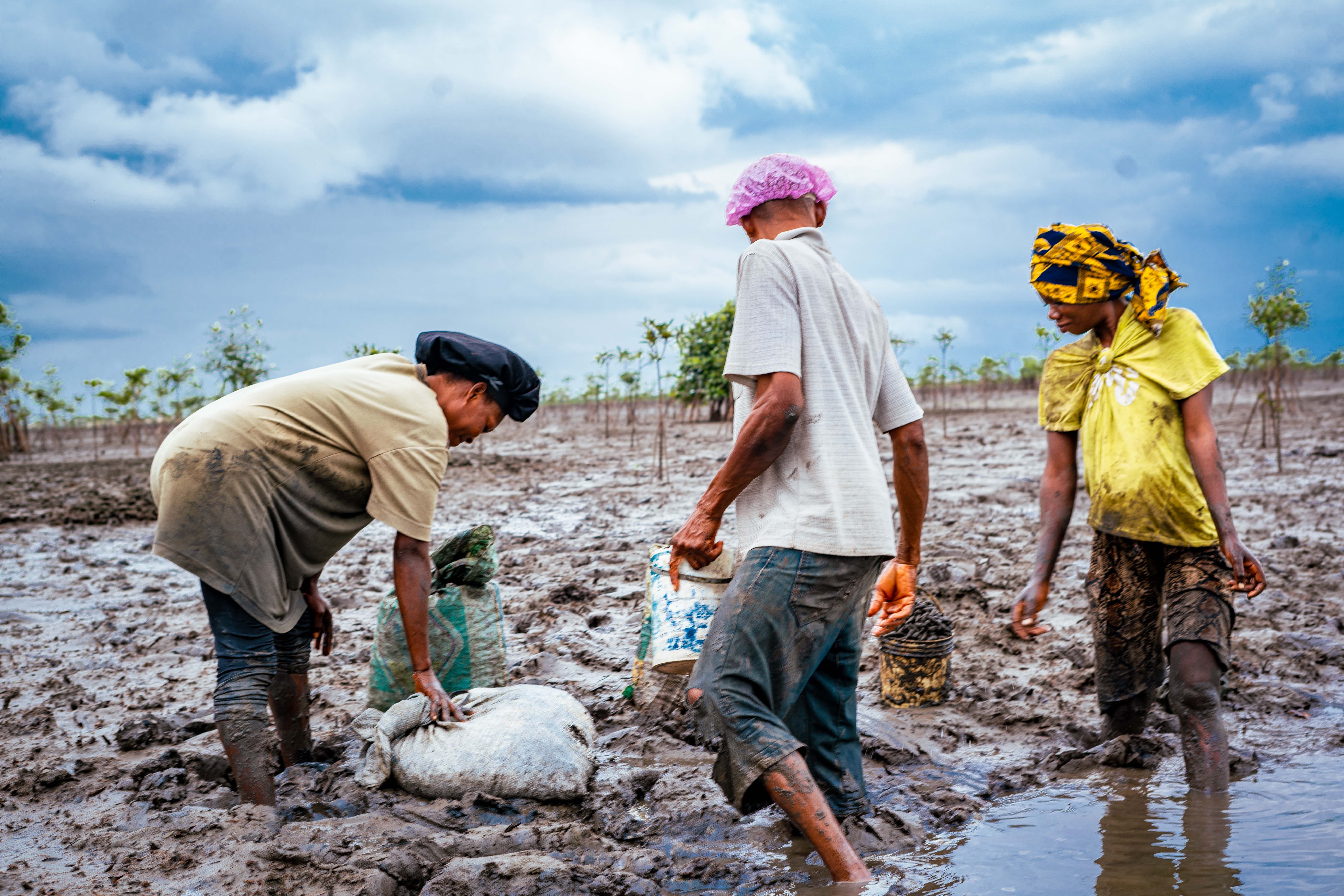 Three Farmers Working in Muddy Field in Nigeria · Free Stock Photo
