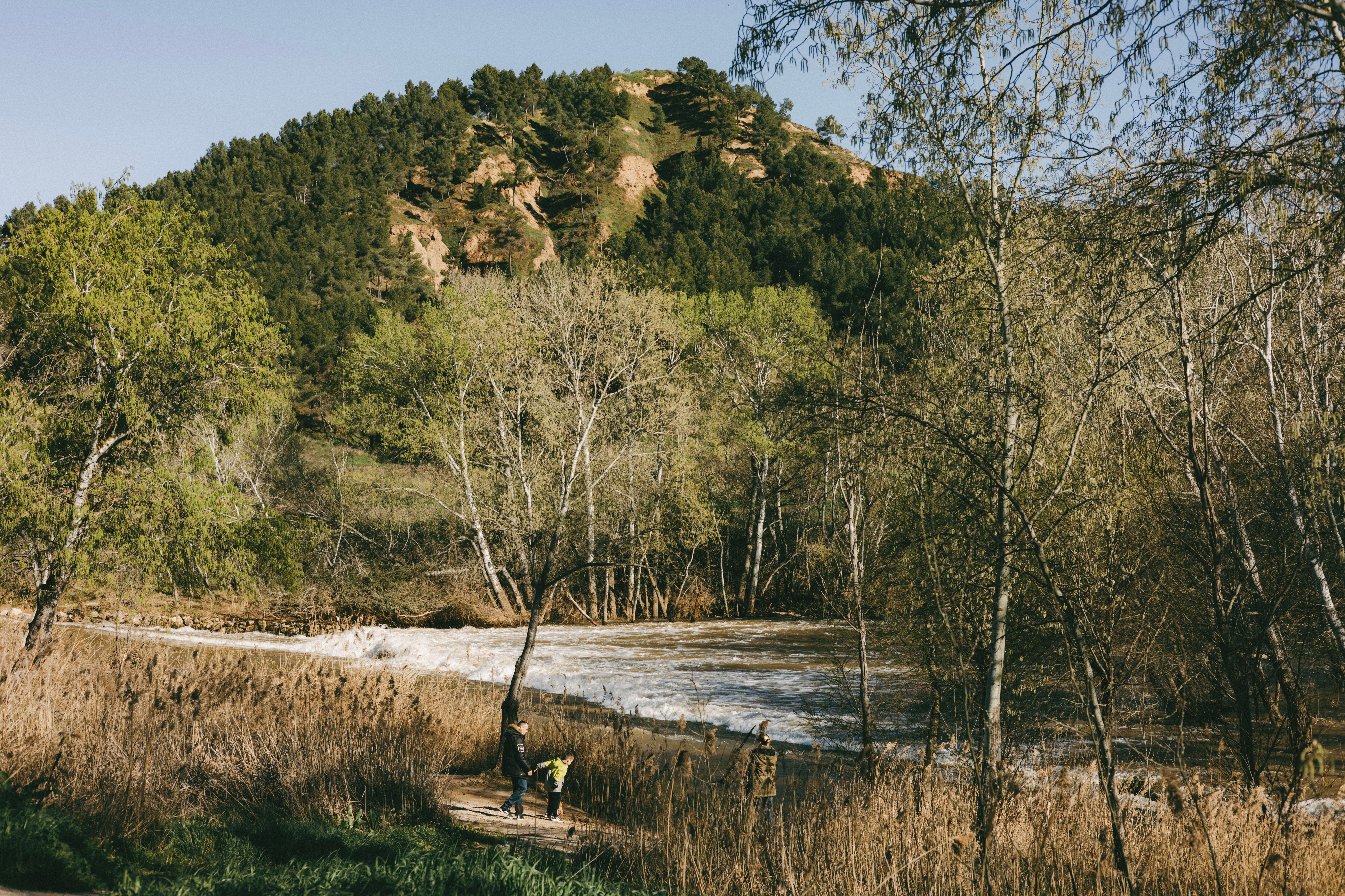 Tranquil Riverside Hiking in Spring Landscape · Free Stock Photo