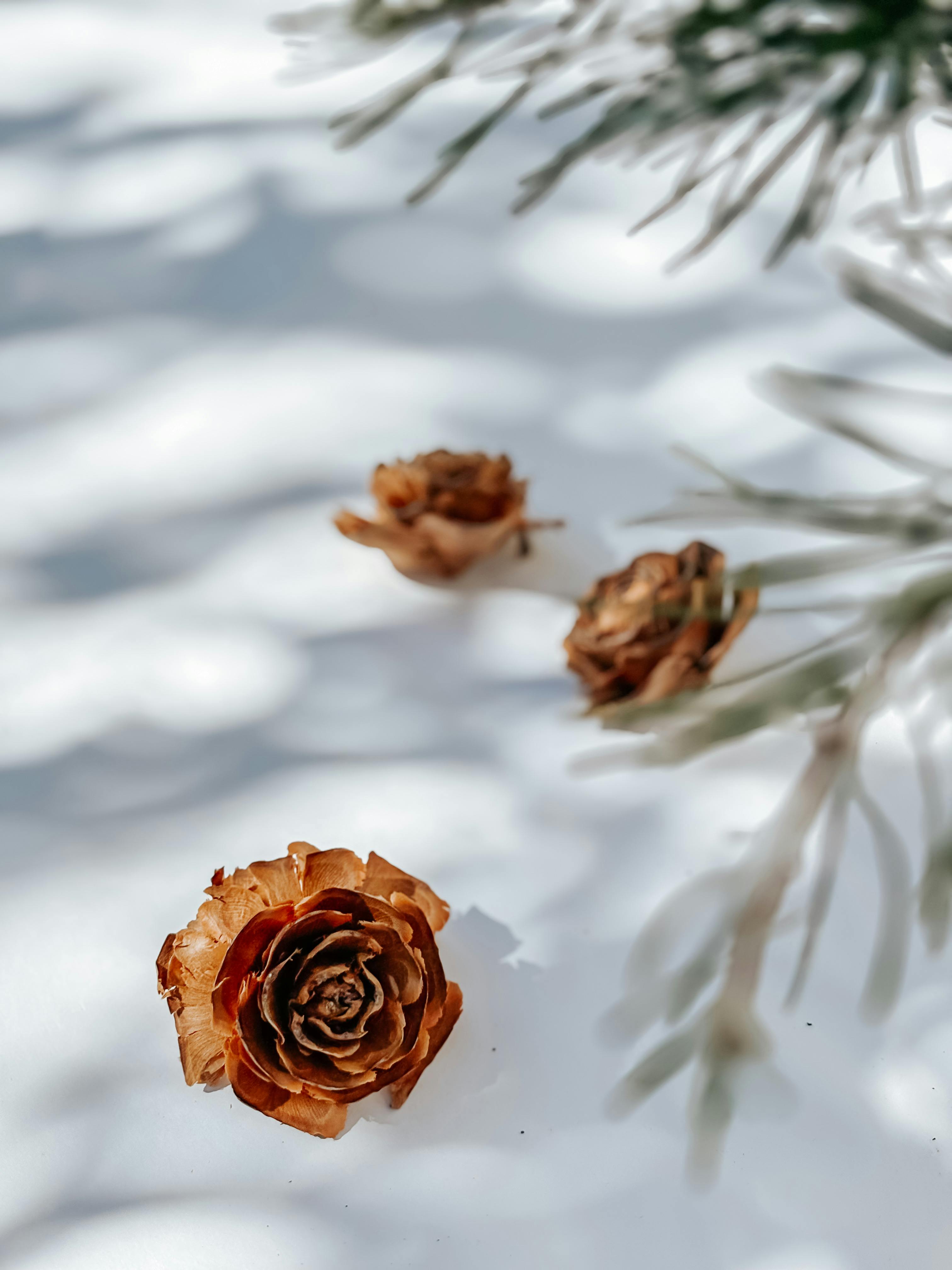 Visual Conceitual Photos, Download The BEST Free Visual Conceitual ...