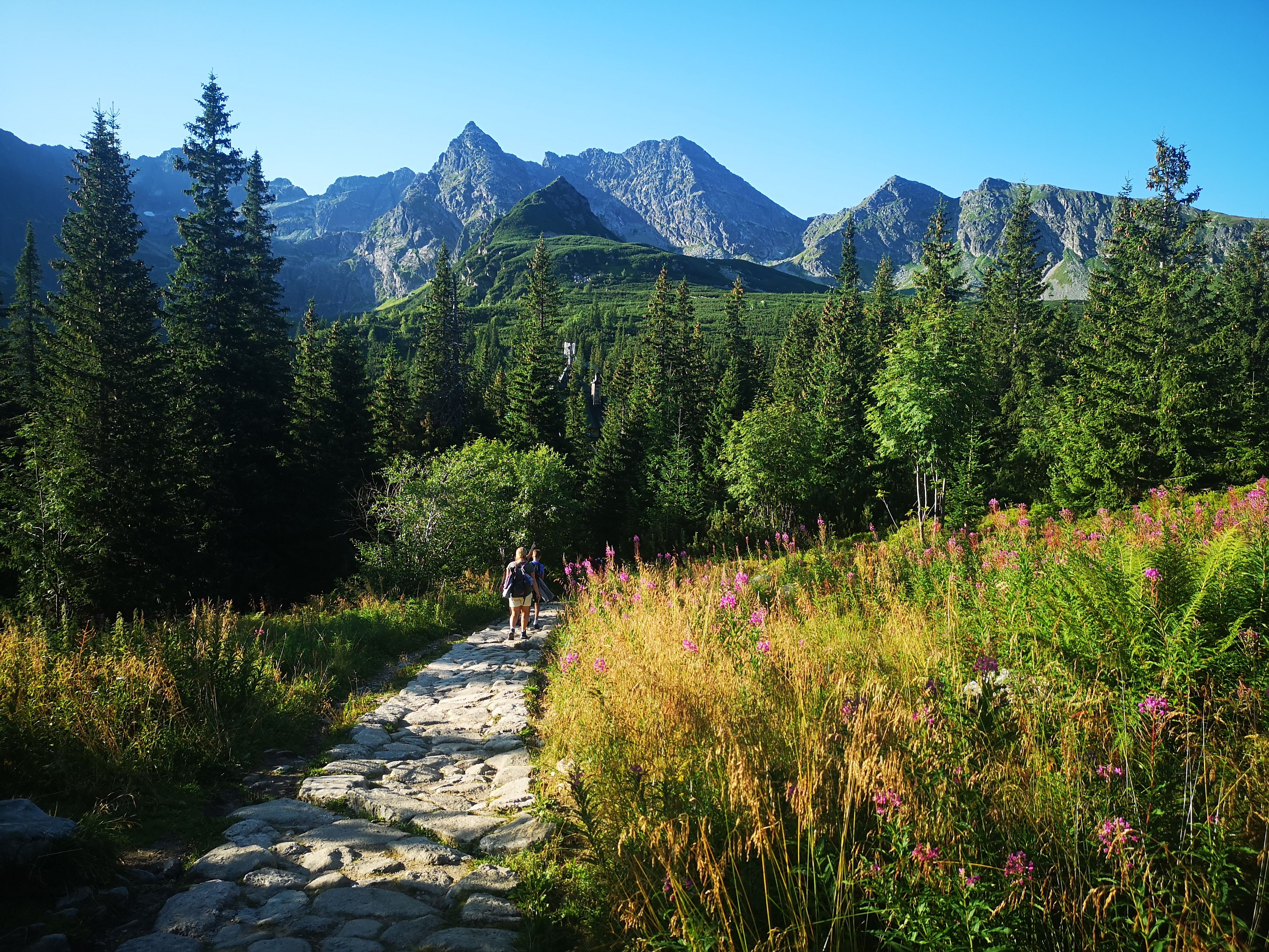 Mountain Hike in Scenic Alpine Landscape · Free Stock Photo