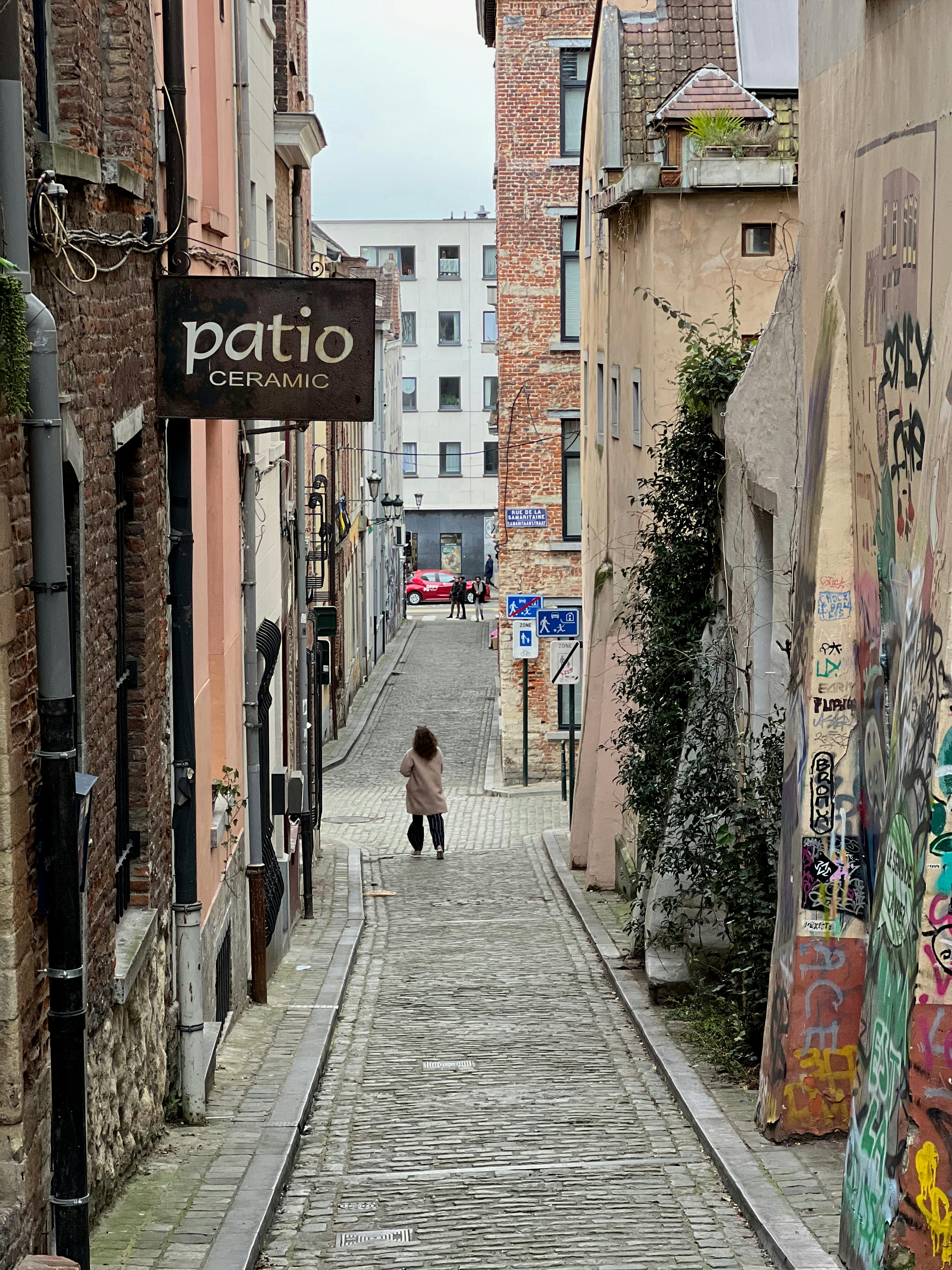 Charming European Alley with Cobblestone Path · Free Stock Photo