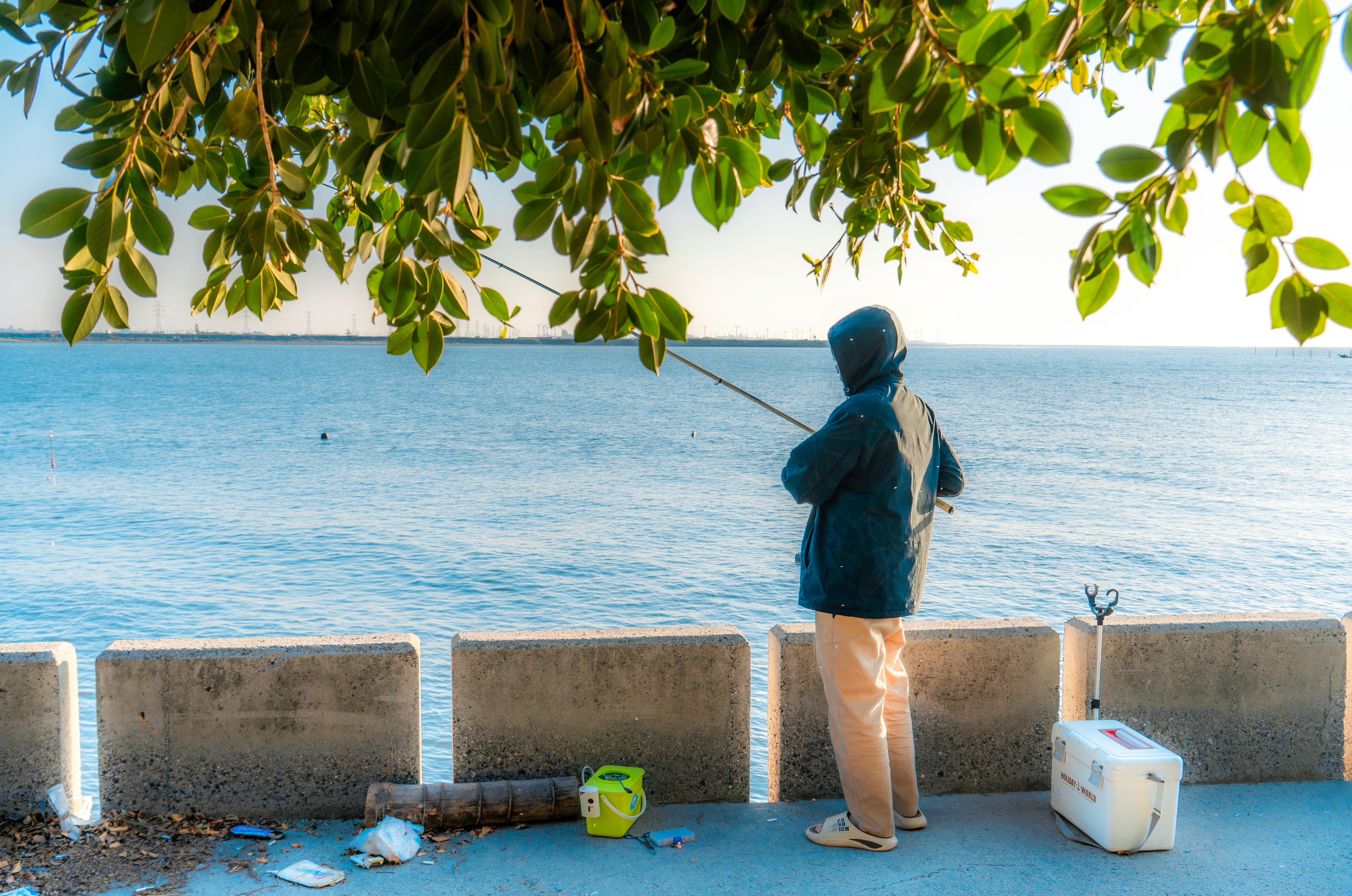 Fisherman by the Sea Under Green Foliage · Free Stock Photo