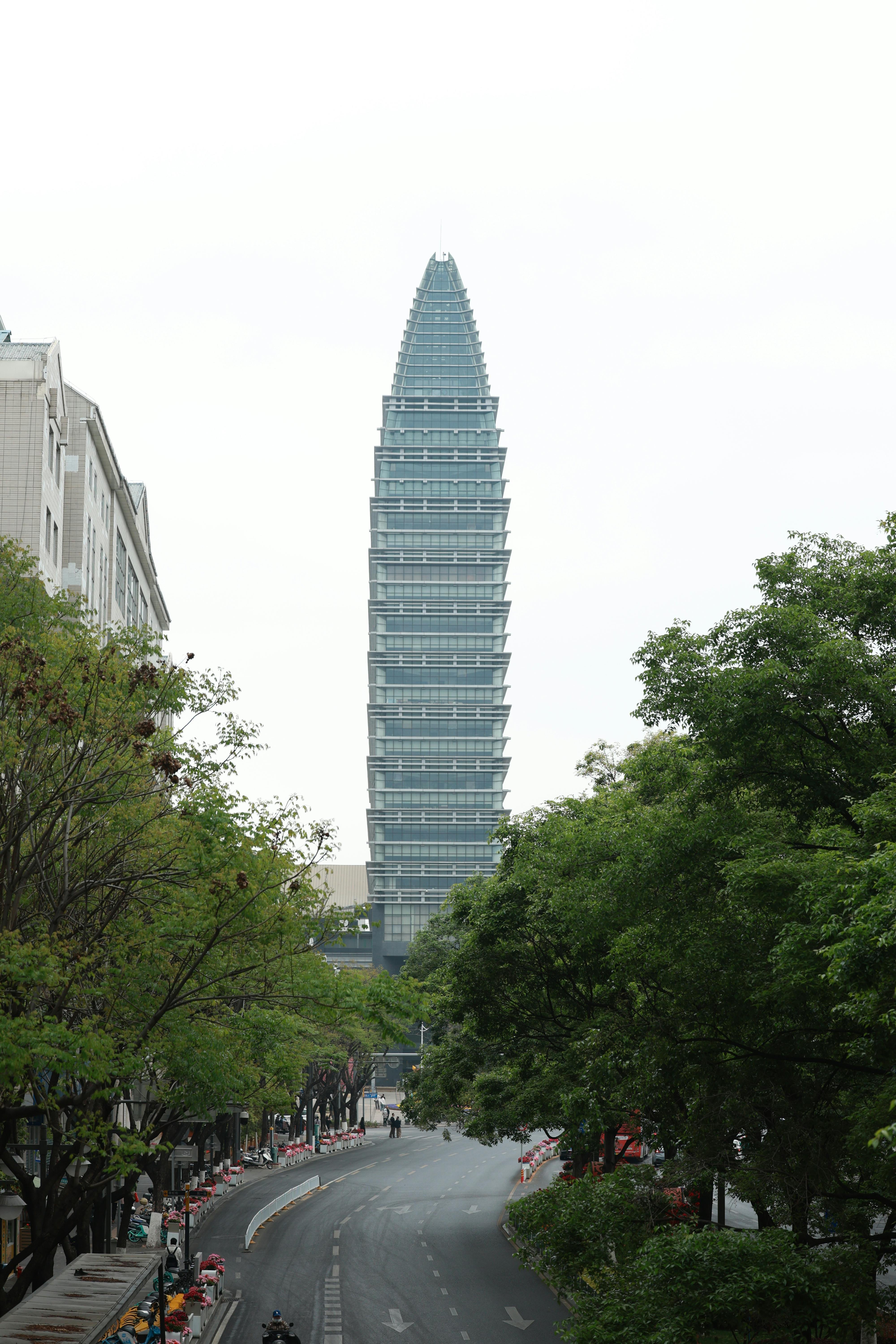 Zifeng Tower in Nanjing amidst urban greenery · Free Stock Photo