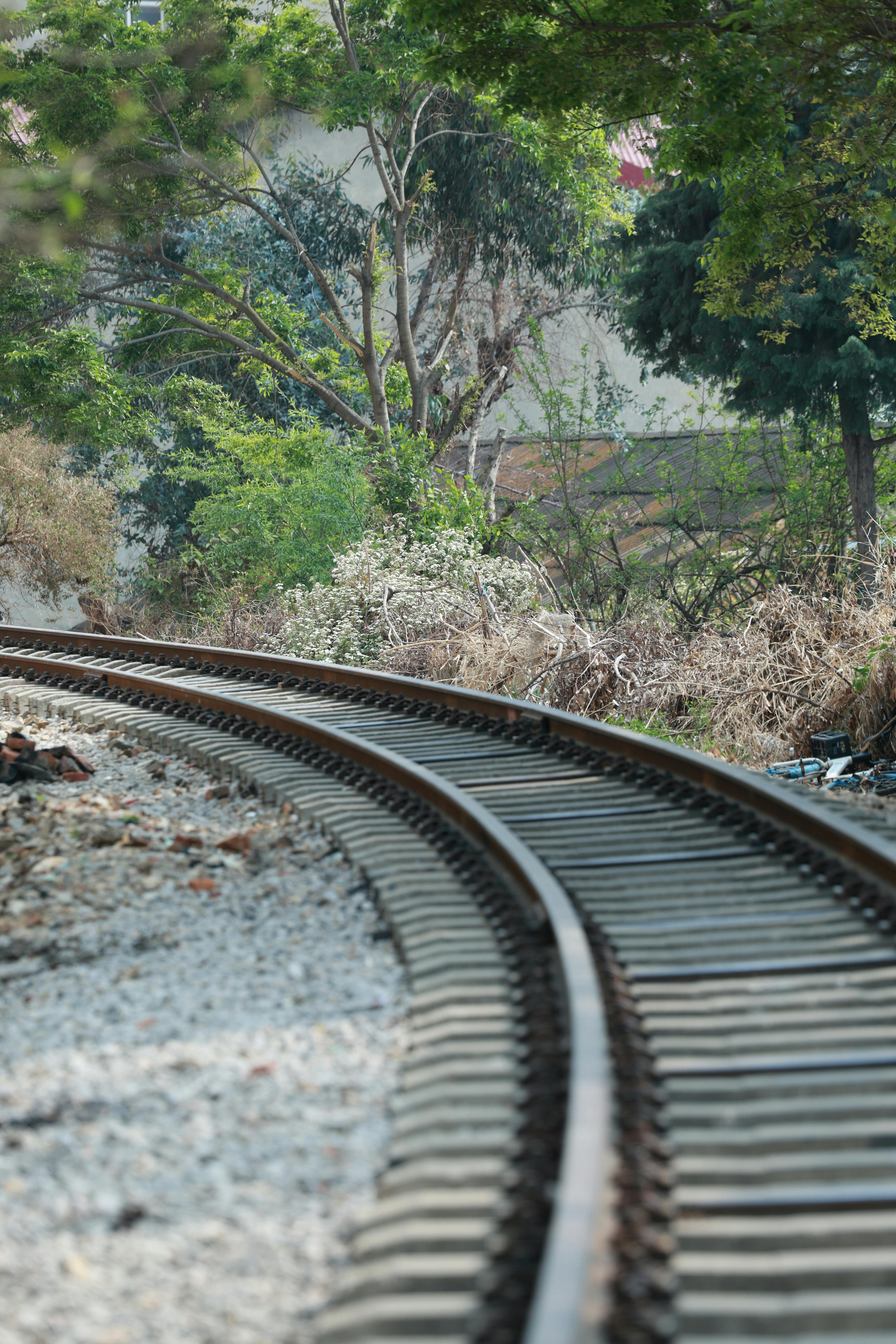Curved Railway Tracks Amidst Greenery Outdoors · Free Stock Photo
