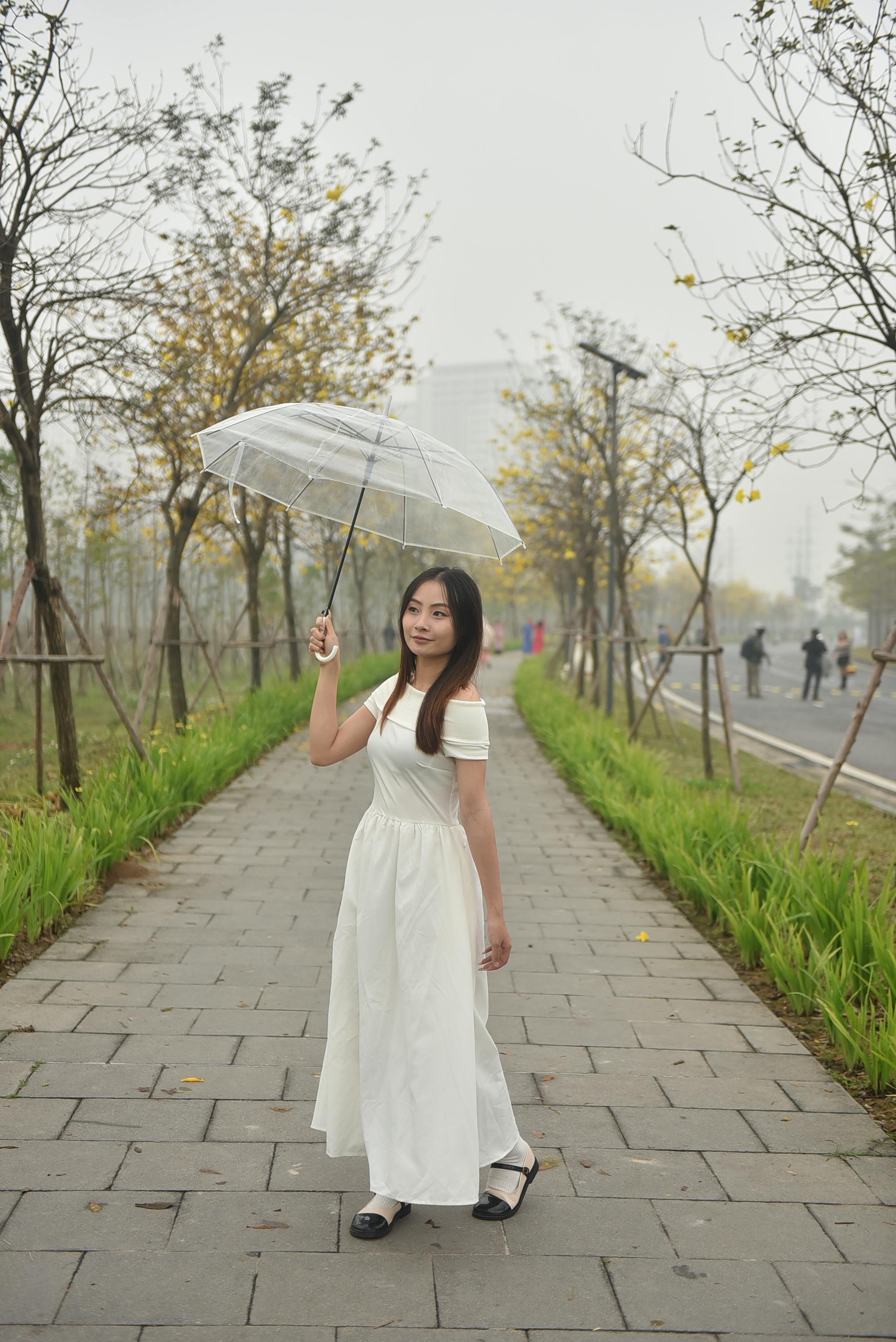 Umbrellas In Street Photos, Download The BEST Free Umbrellas In Street Stock Photos & HD Images