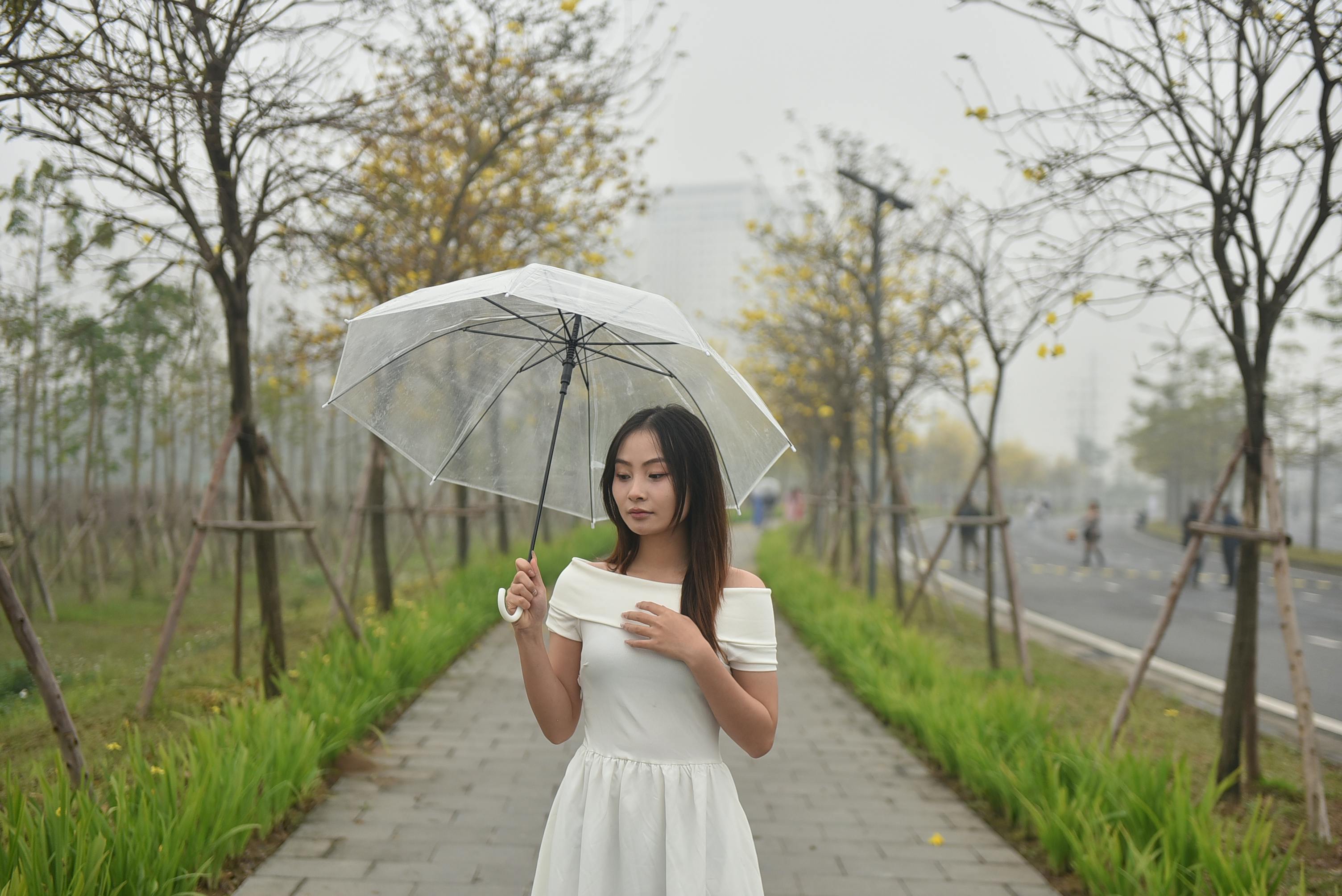 Young Woman with Umbrella on Rainy Pathway · Free Stock Photo