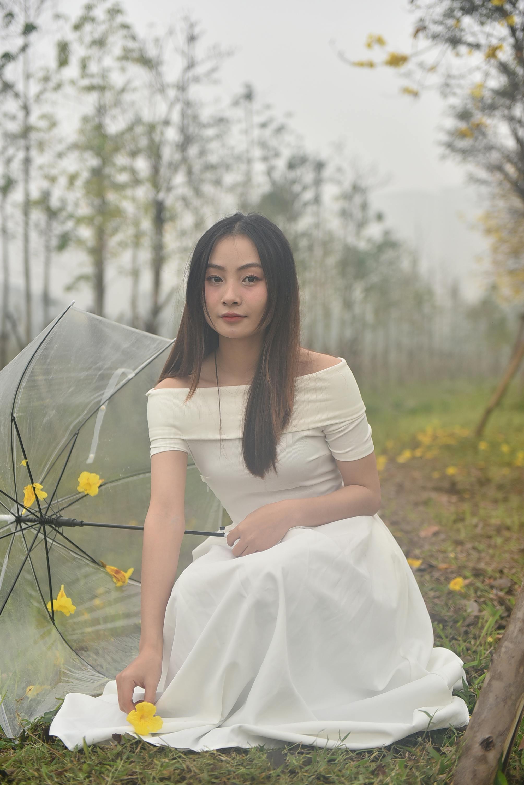 Transparent+Static+Overlay+Gif Photos, Download The BEST Free ...