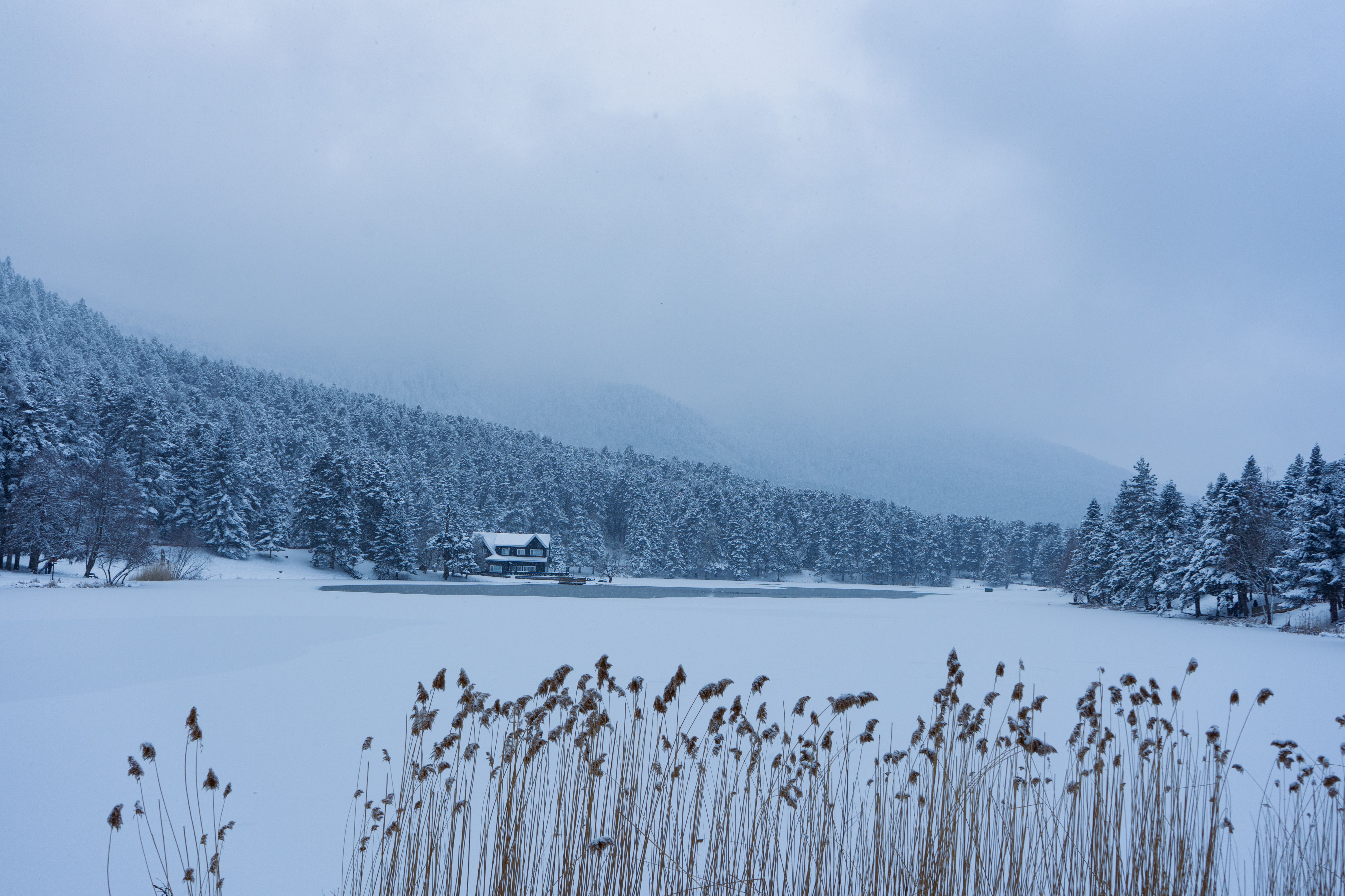 Chill Natural Photos, Download The BEST Free Chill Natural Stock Photos ...