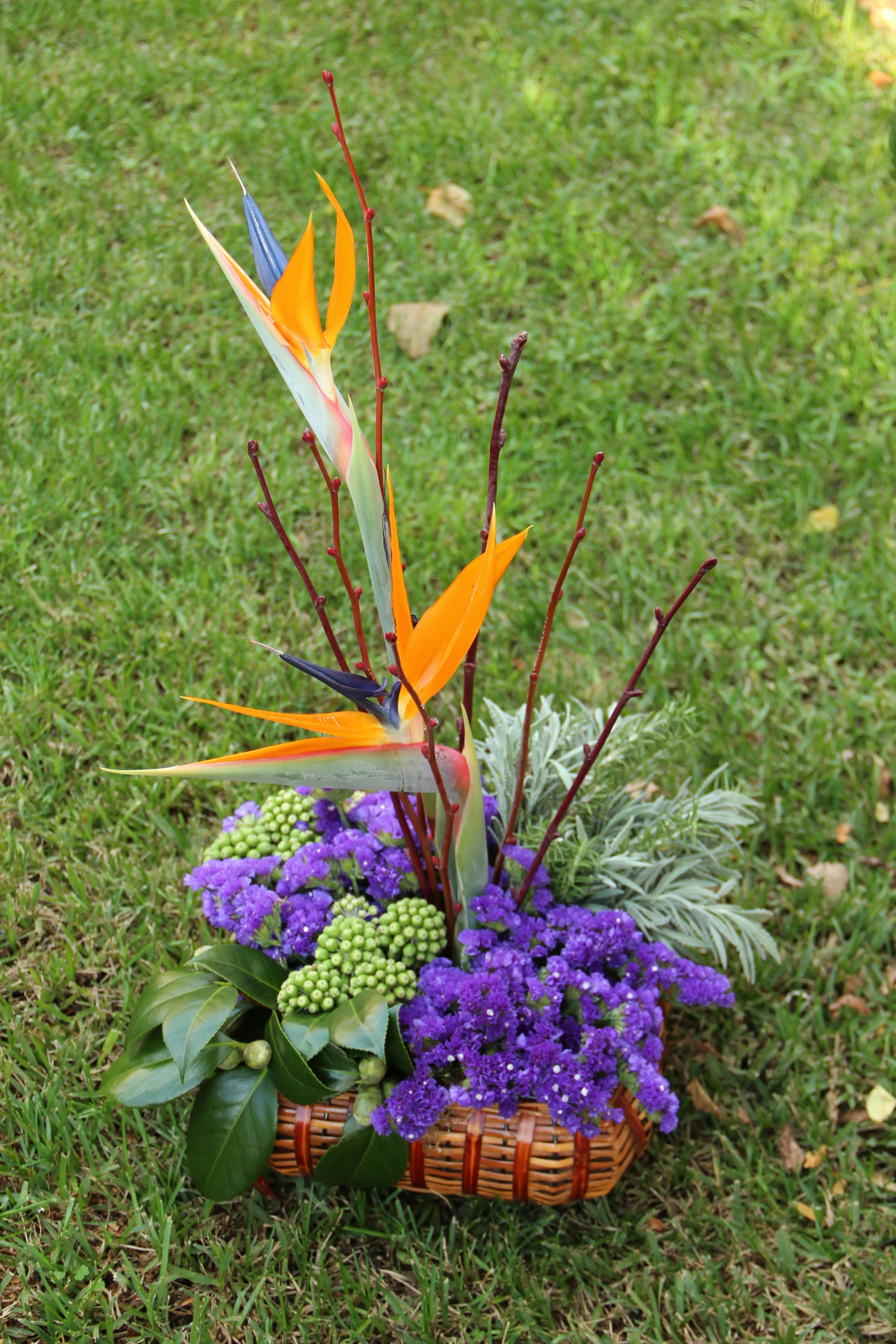 Vibrant Flower Arrangement in Woven Basket Outdoors · Free Stock Photo