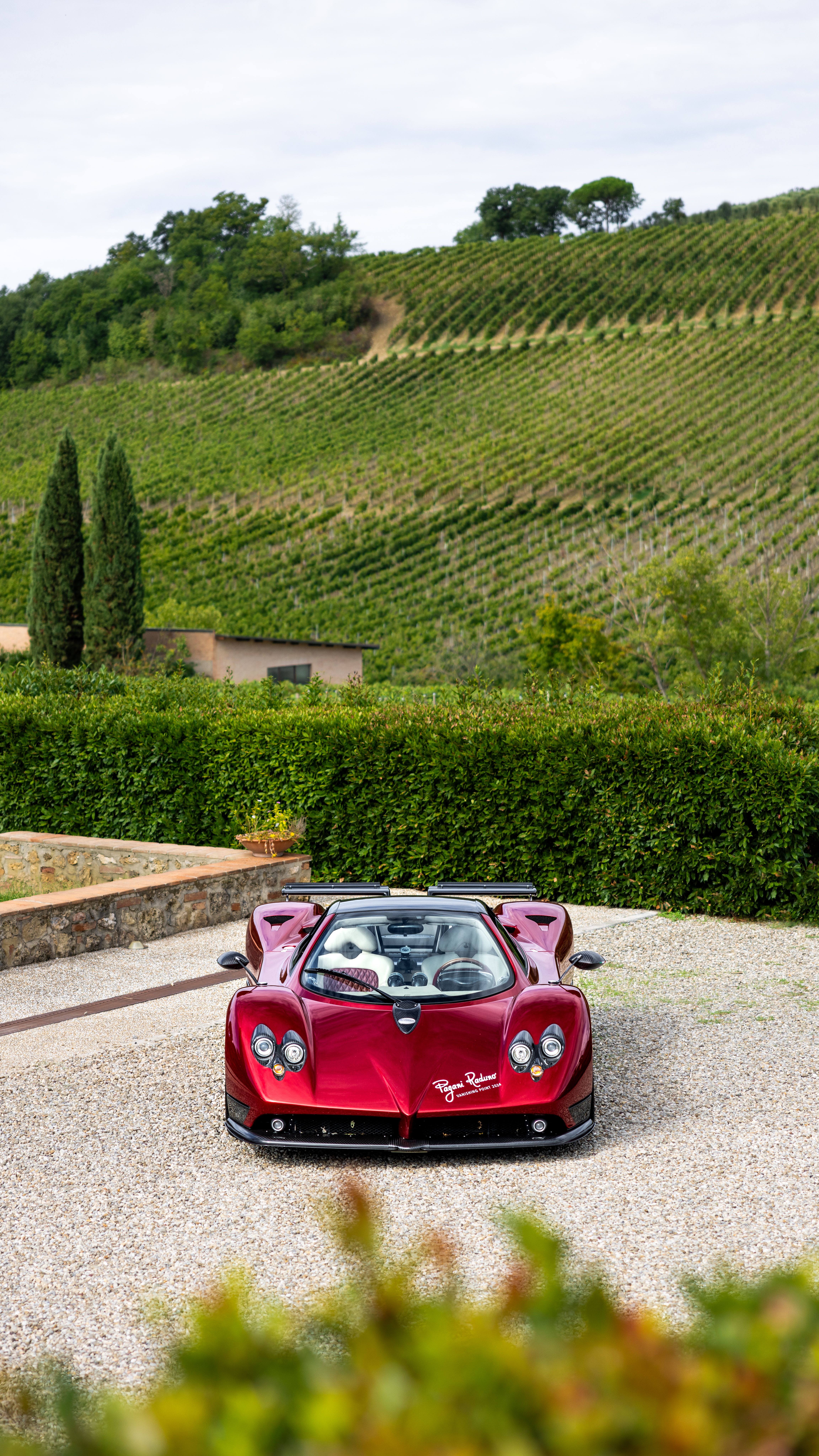 Luxury Sports Car in Scenic Vineyard · Free Stock Photo