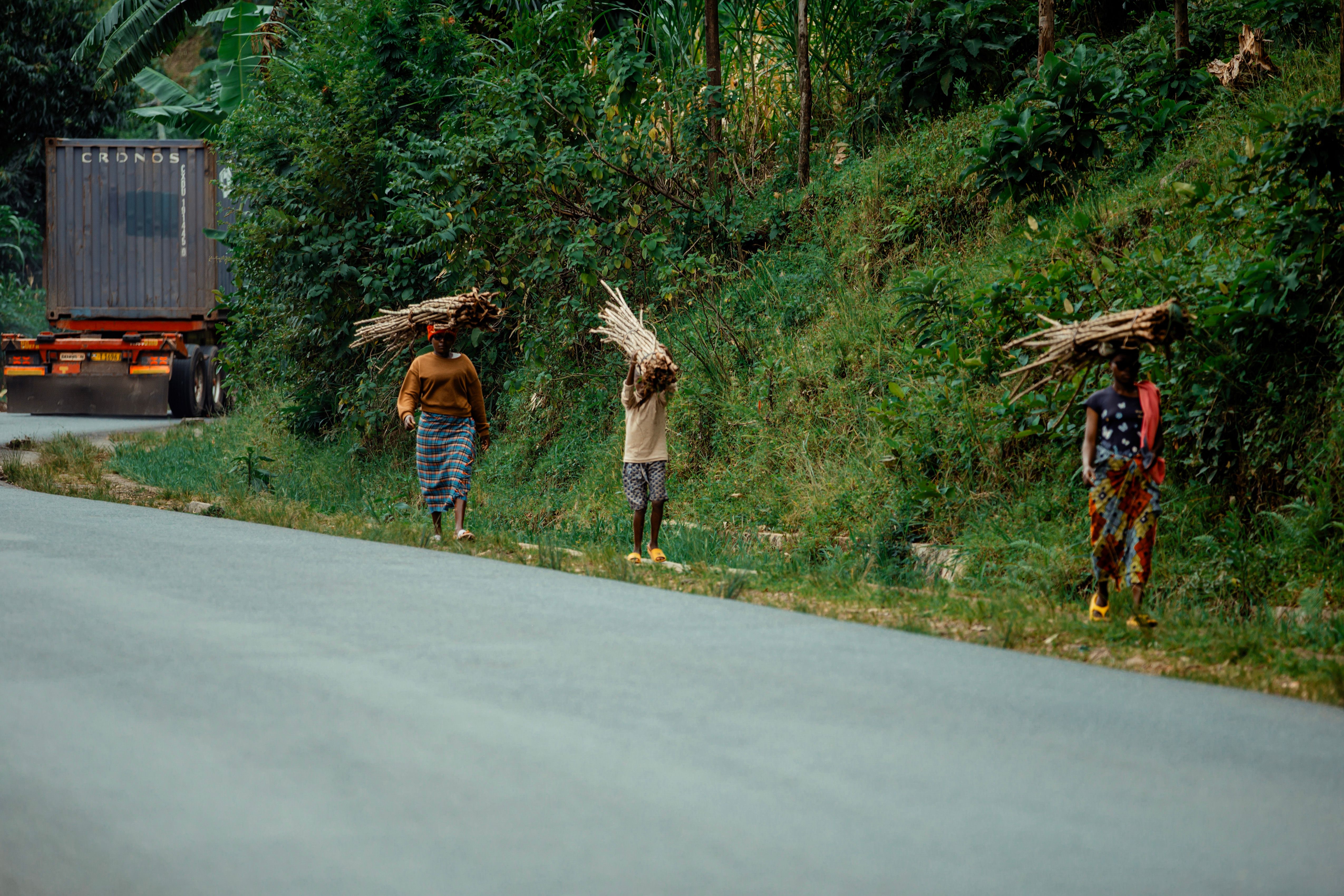 Jungle Human Photos, Download The BEST Free Jungle Human Stock Photos ...