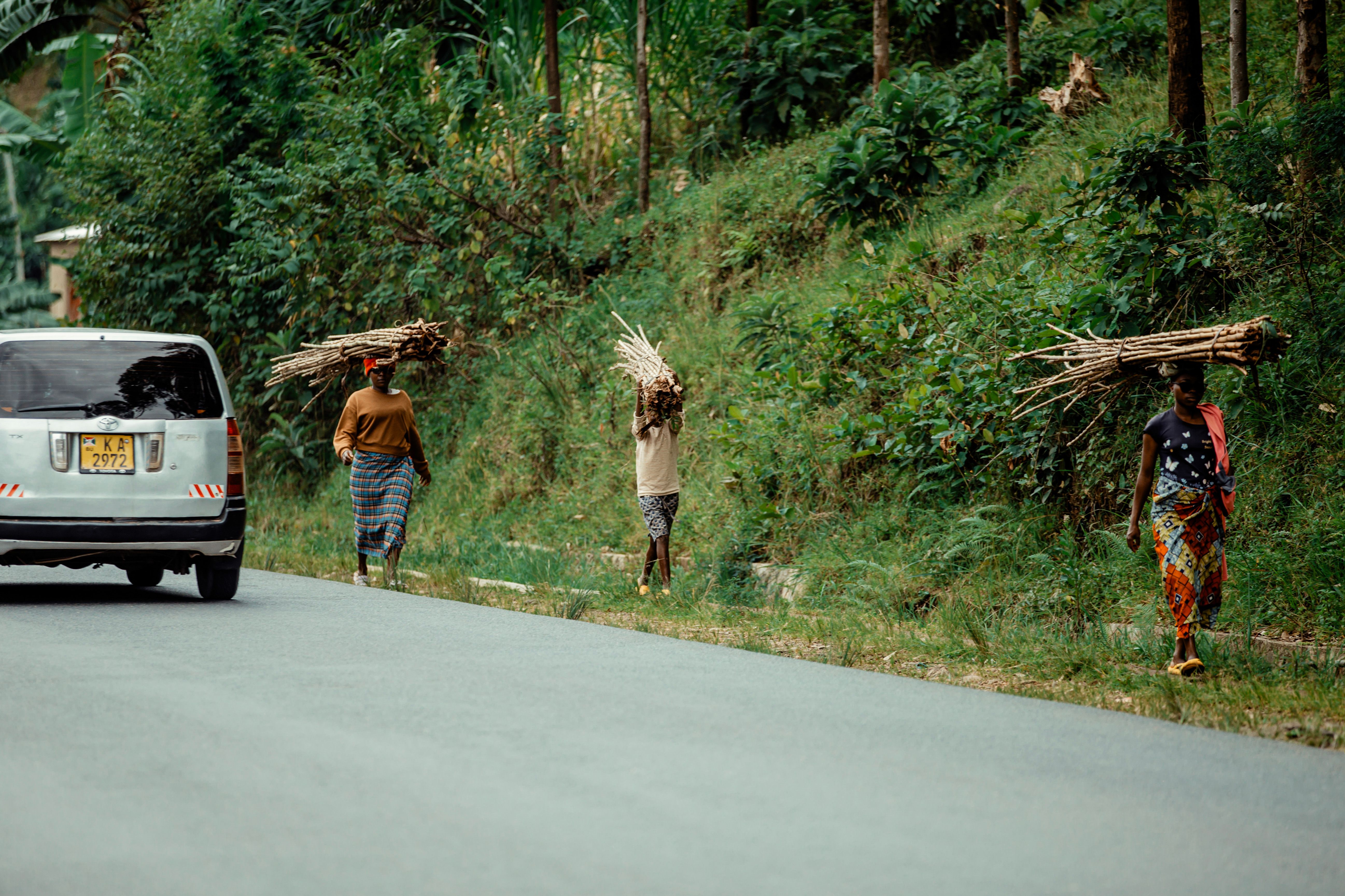 Women Carrying Firewood on Rural Roadside · Free Stock Photo