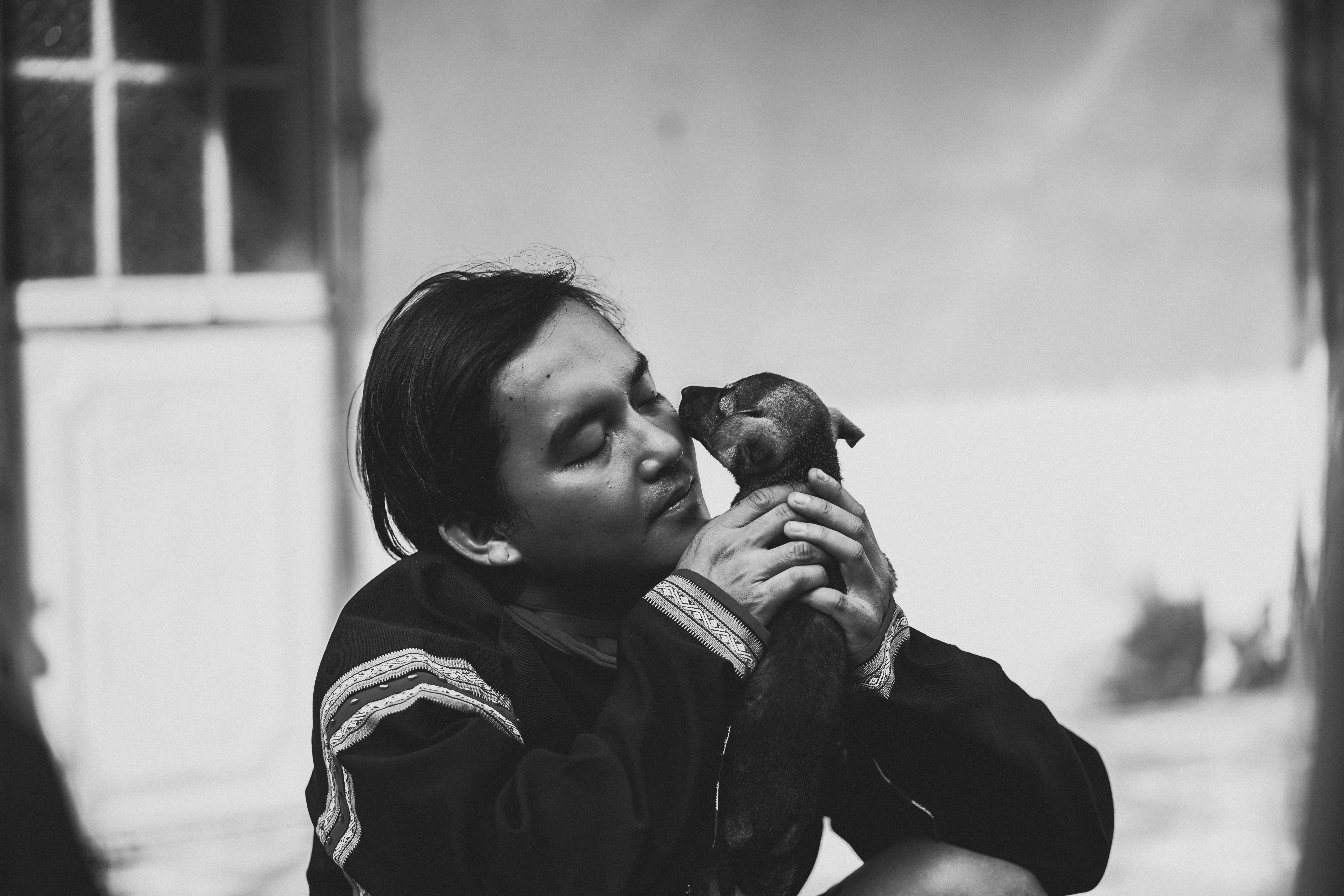 Signifying Peace Photos, Download The BEST Free Signifying Peace Stock ...