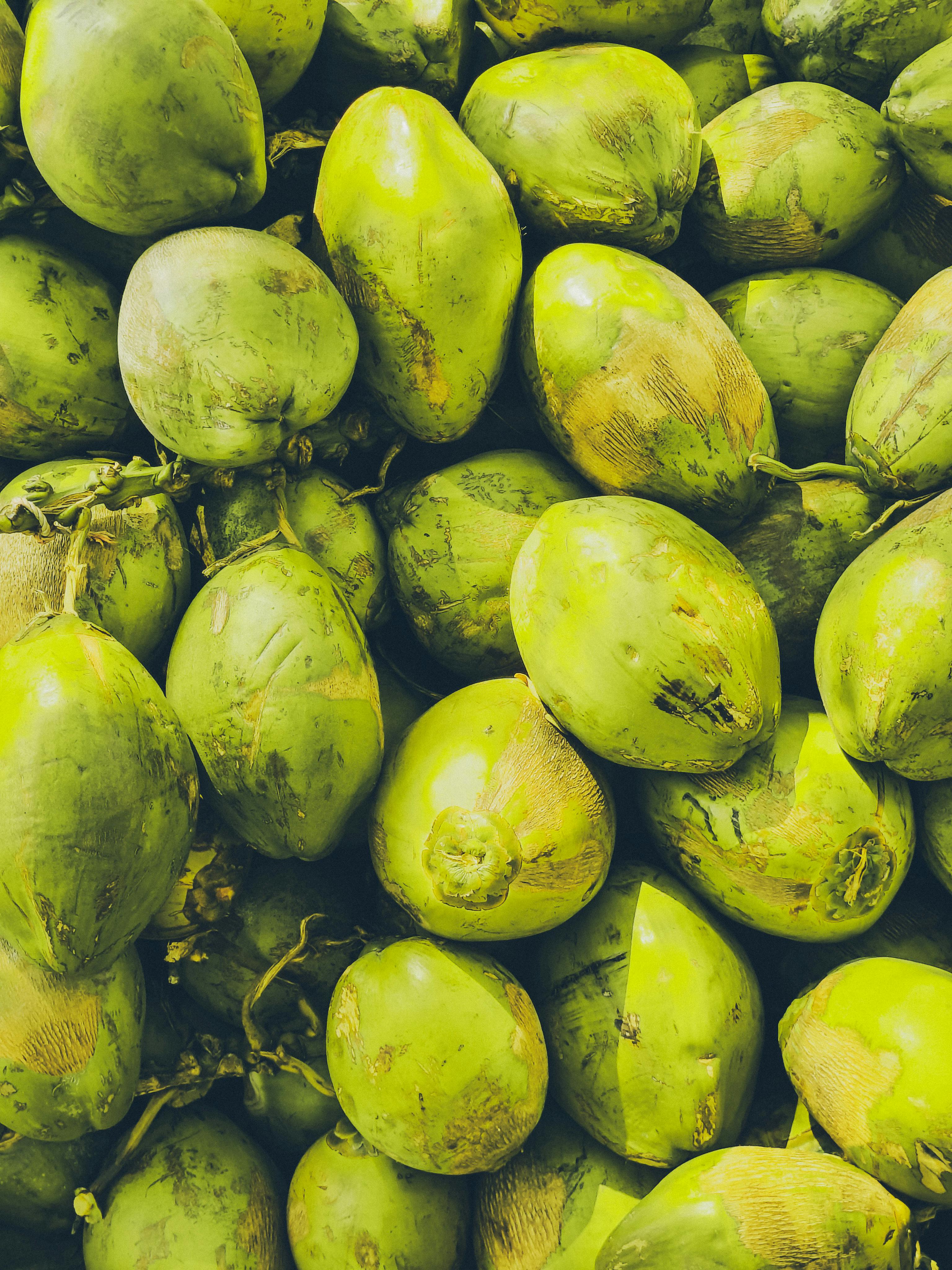 Xxxx Hd Wowgirls Photos, Download The BEST Free Xxxx Hd Wowgirls Stock ...