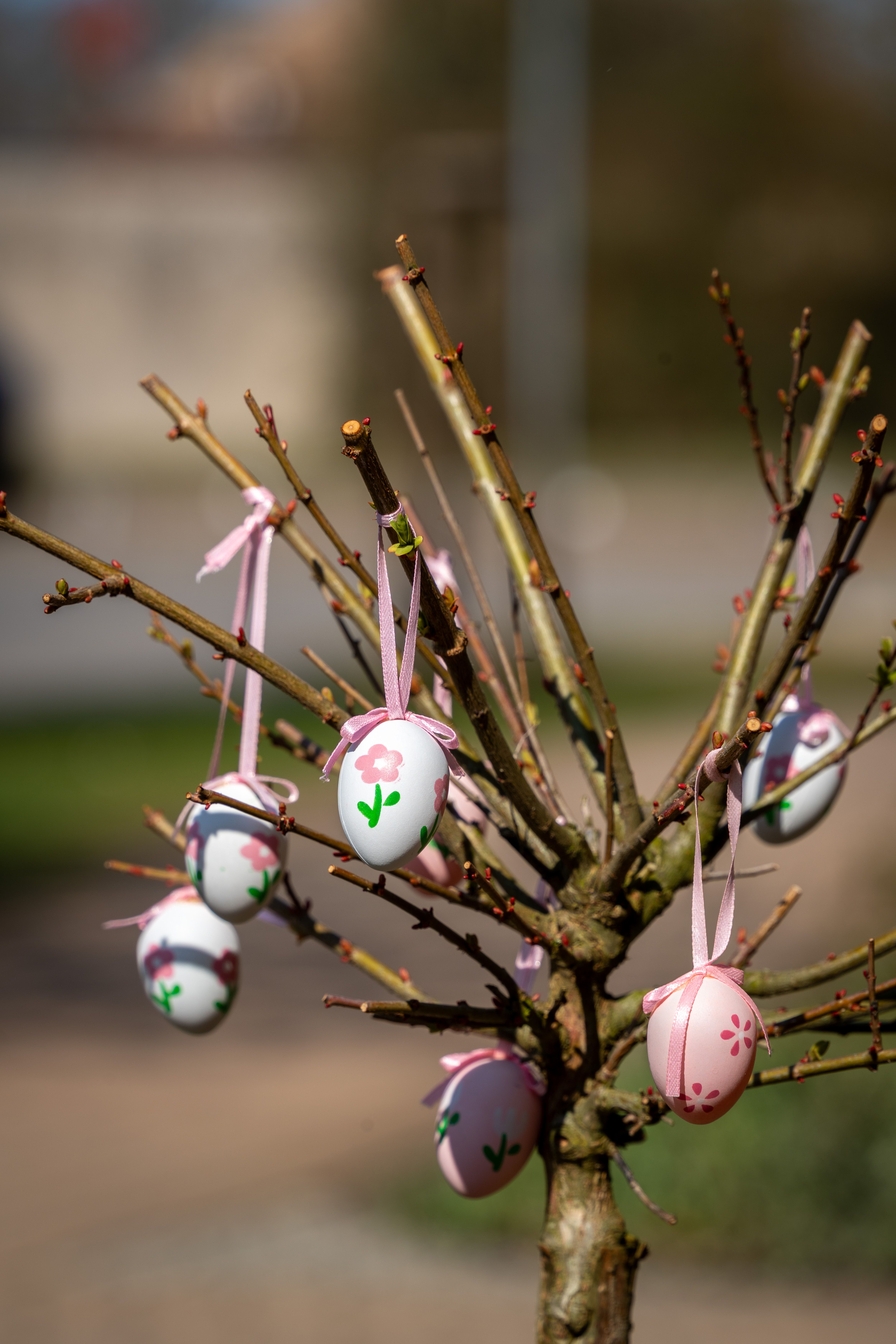 Easter Magic Photos, Download The BEST Free Easter Magic Stock Photos ...