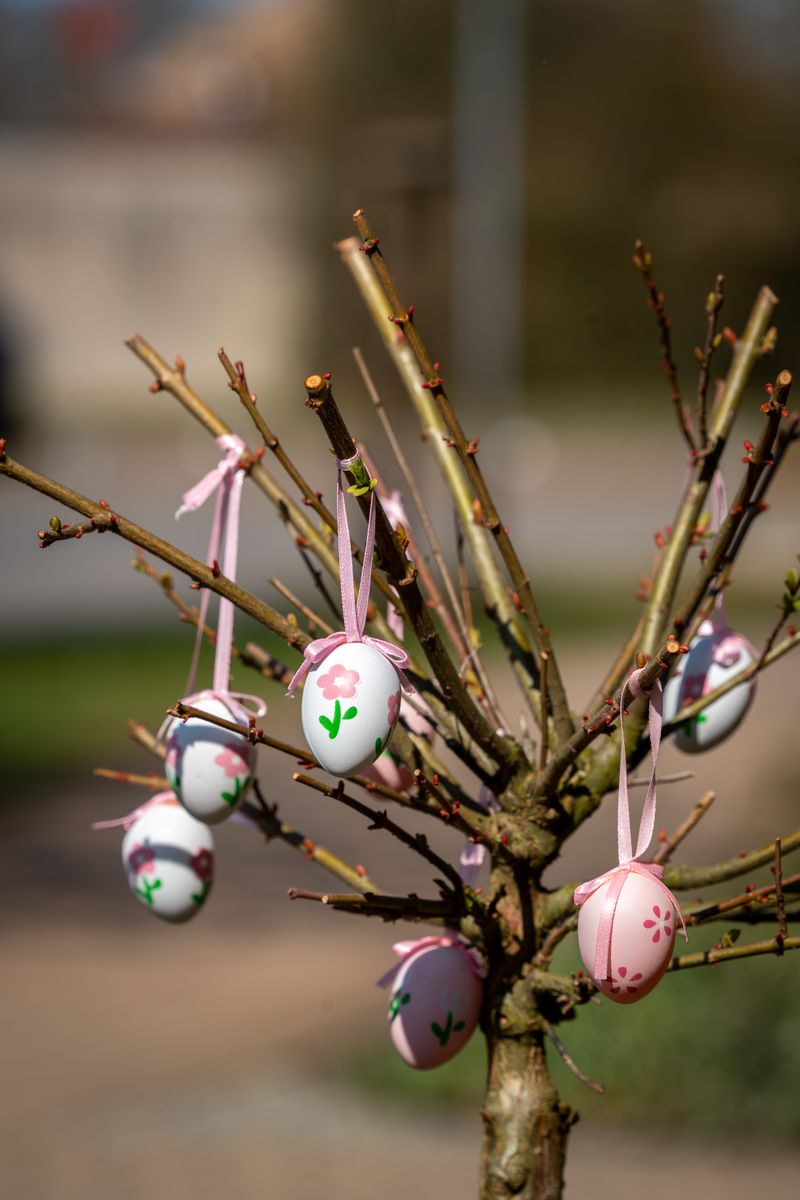Easter+Eggs+Hanging+From+A+Tree Photos, Download The BEST Free Easter ...