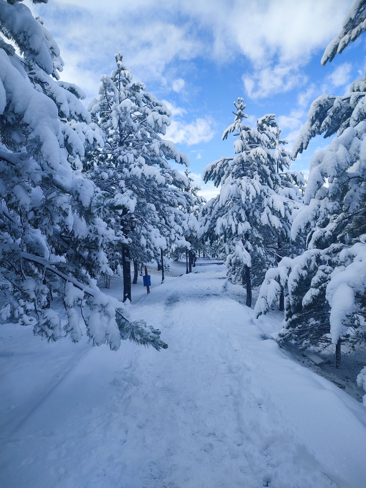 Images Of Deforestation Photos, Download The BEST Free Images Of ...