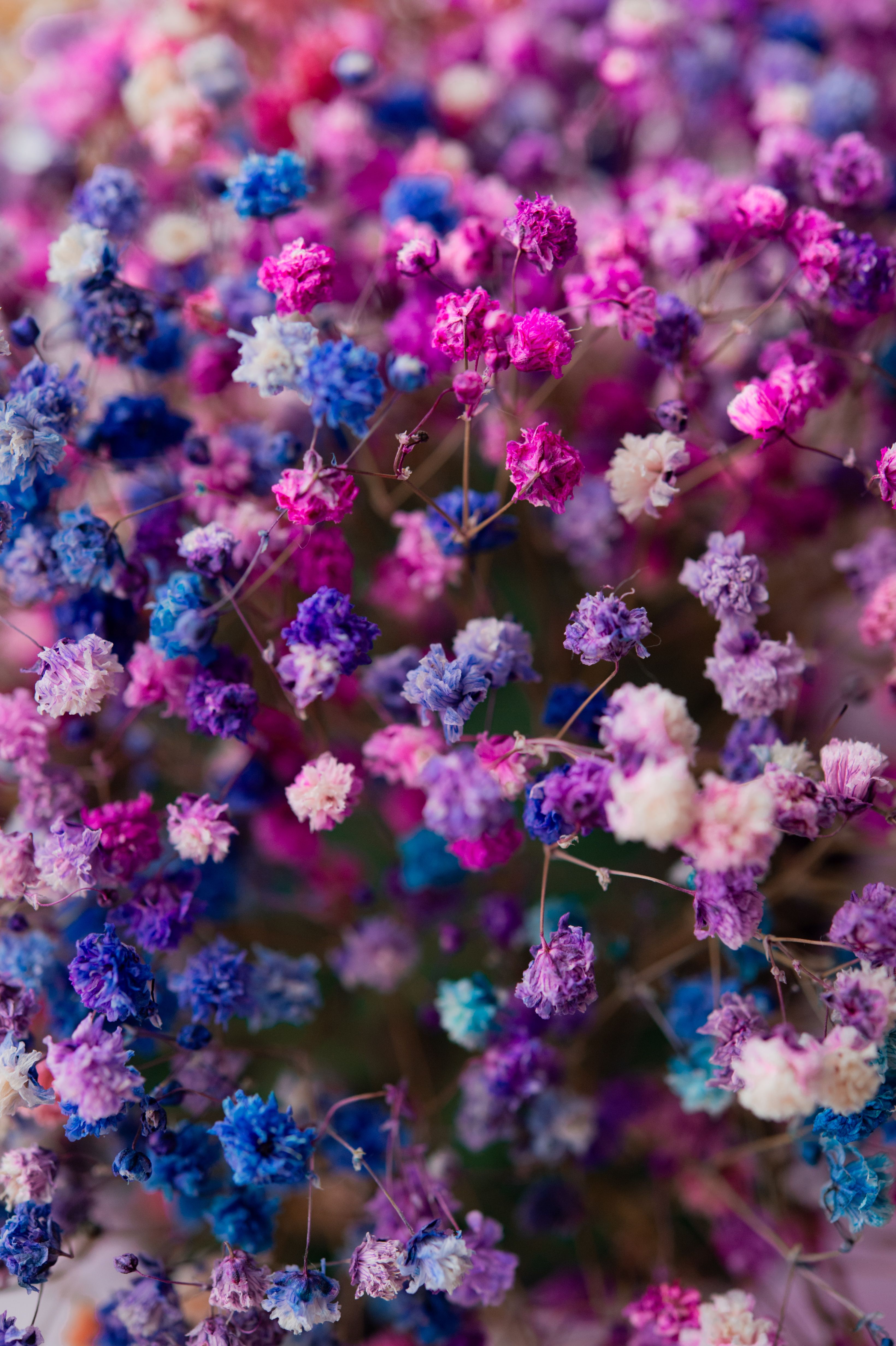 Romatic Background Photos, Download The BEST Free Romatic Background ...