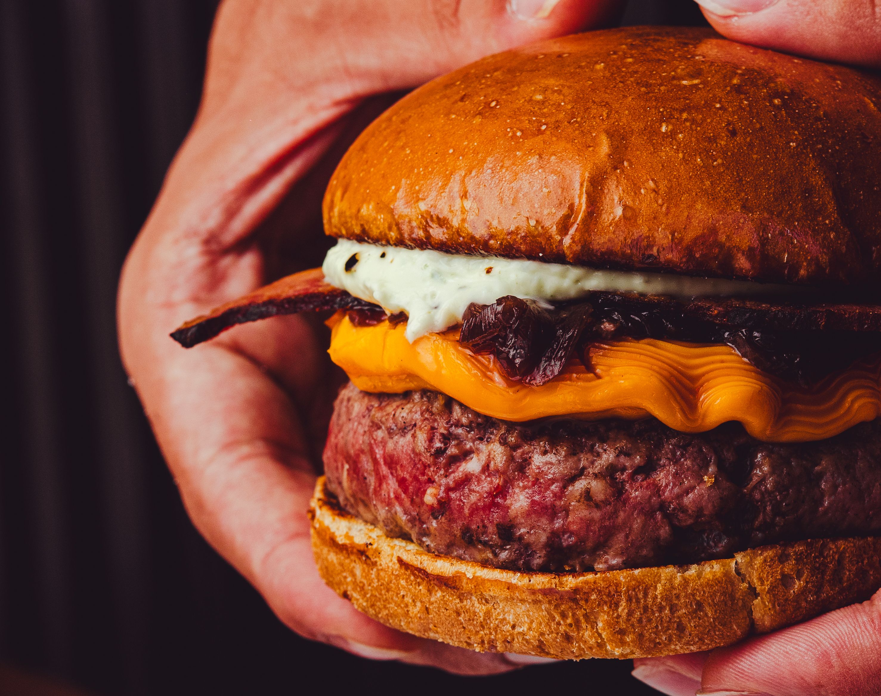 Close-up of a Gourmet Cheeseburger in Hand · Free Stock Photo