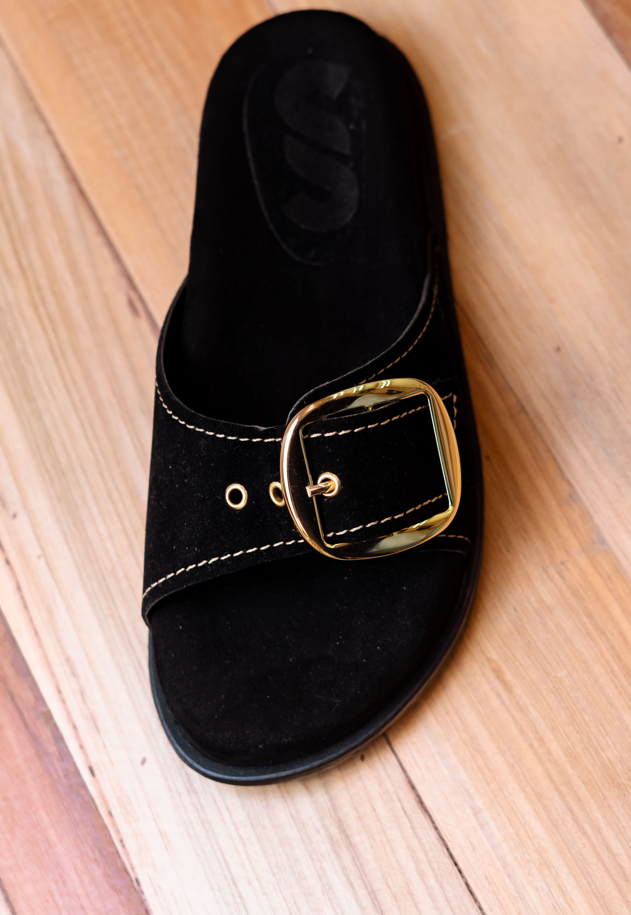 Elegant Black Sandal with Gold Buckle on Wooden Floor · Free Stock Photo