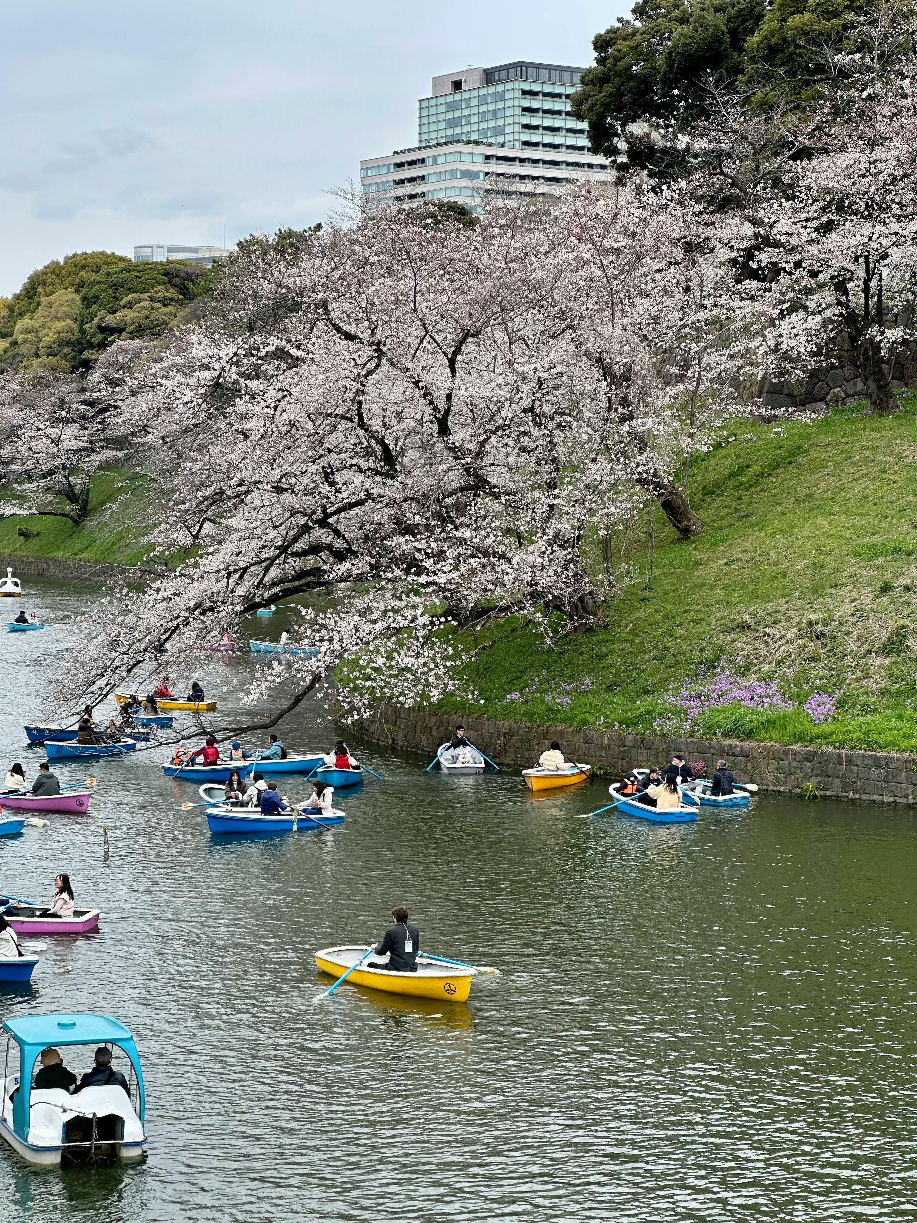 Canales+De+Modelos+Latinas+Desnudas Photos, Download The BEST Free Canales+De+Modelos+Latinas ...