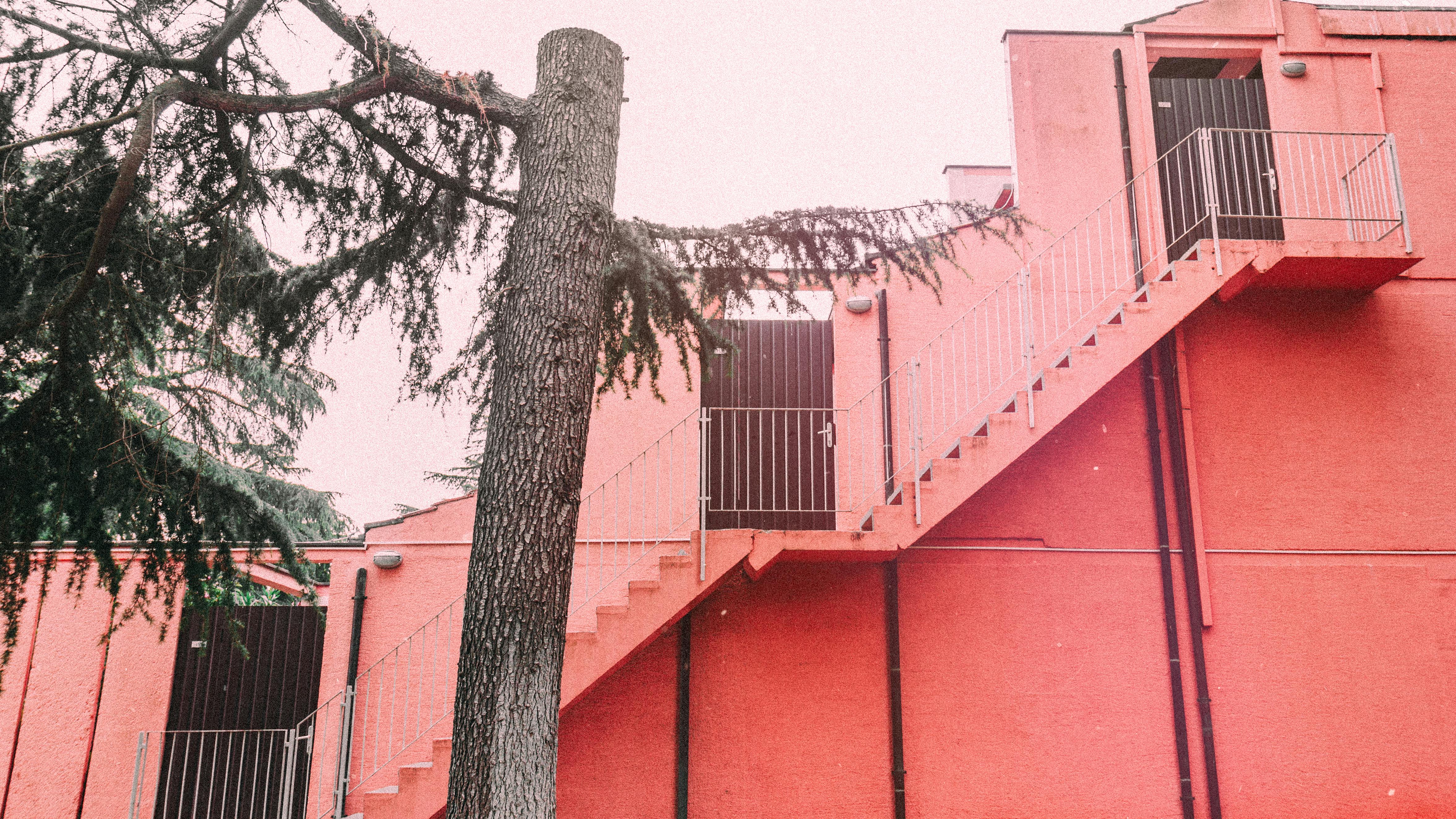 Istria Arada Photos, Download The BEST Free Istria Arada Stock Photos ...