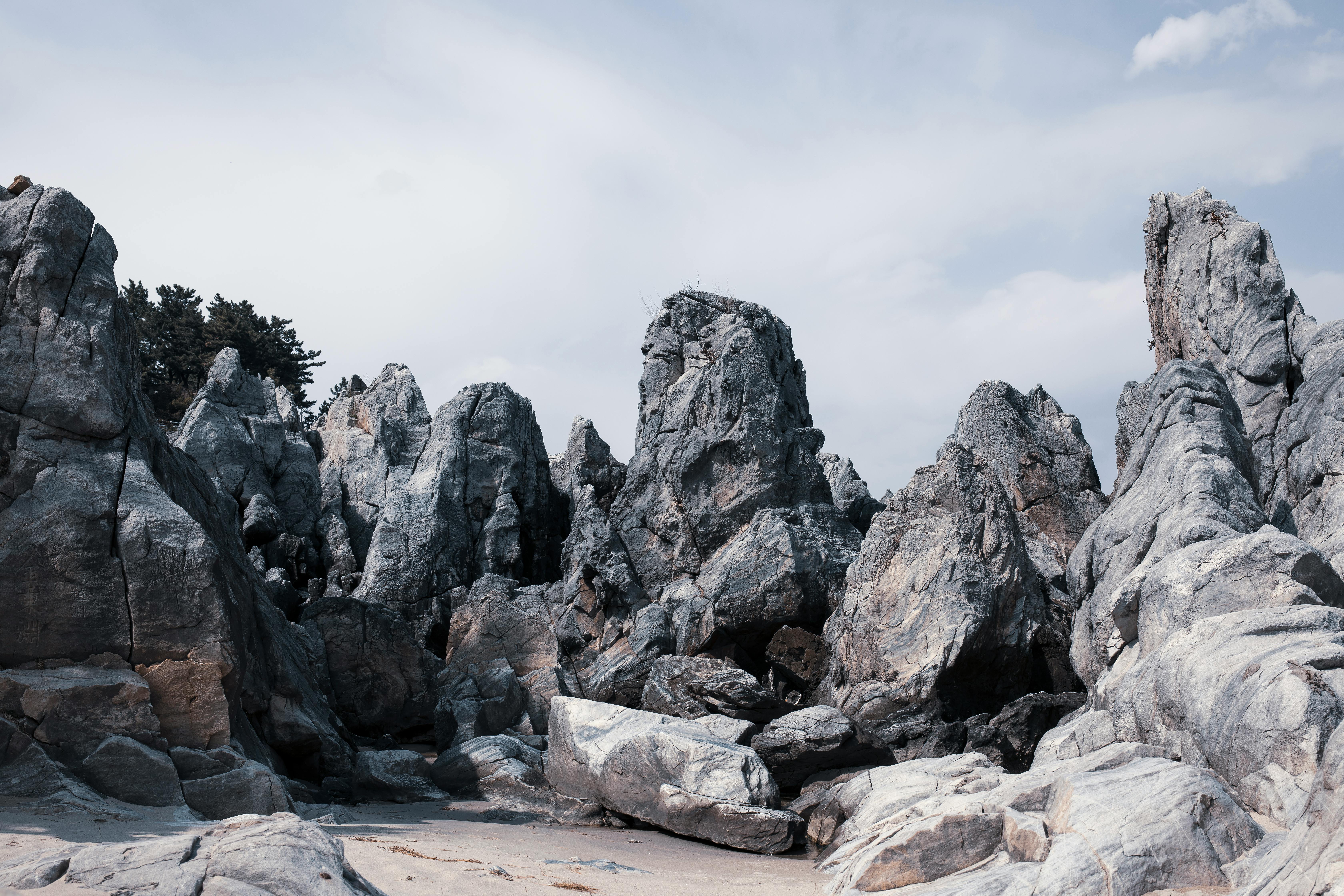 Raw+Smallgoods Photos, Download The BEST Free Raw+Smallgoods Stock ...