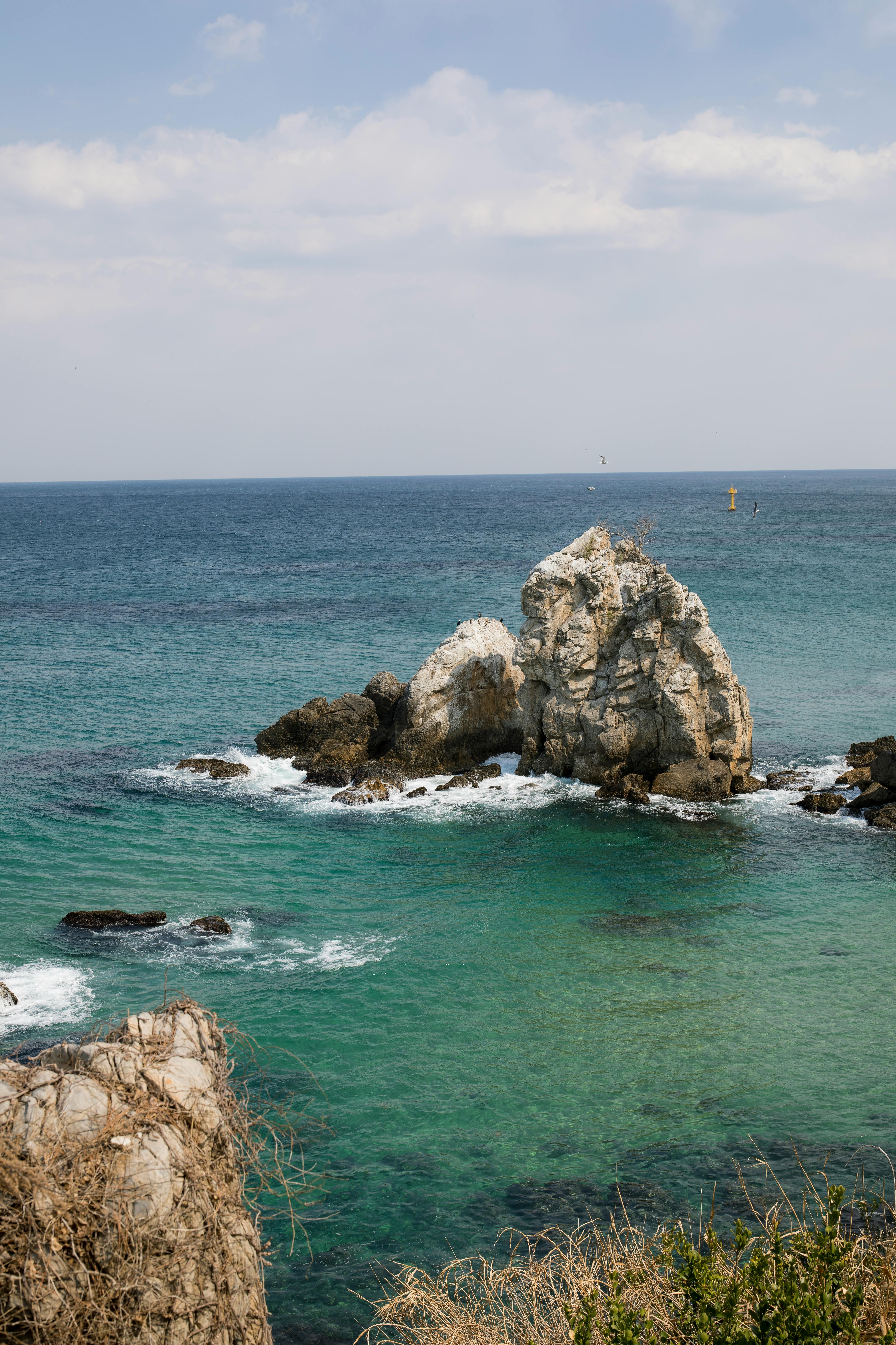 Iv Starter Kits Photos, Download The BEST Free Iv Starter Kits Stock ...