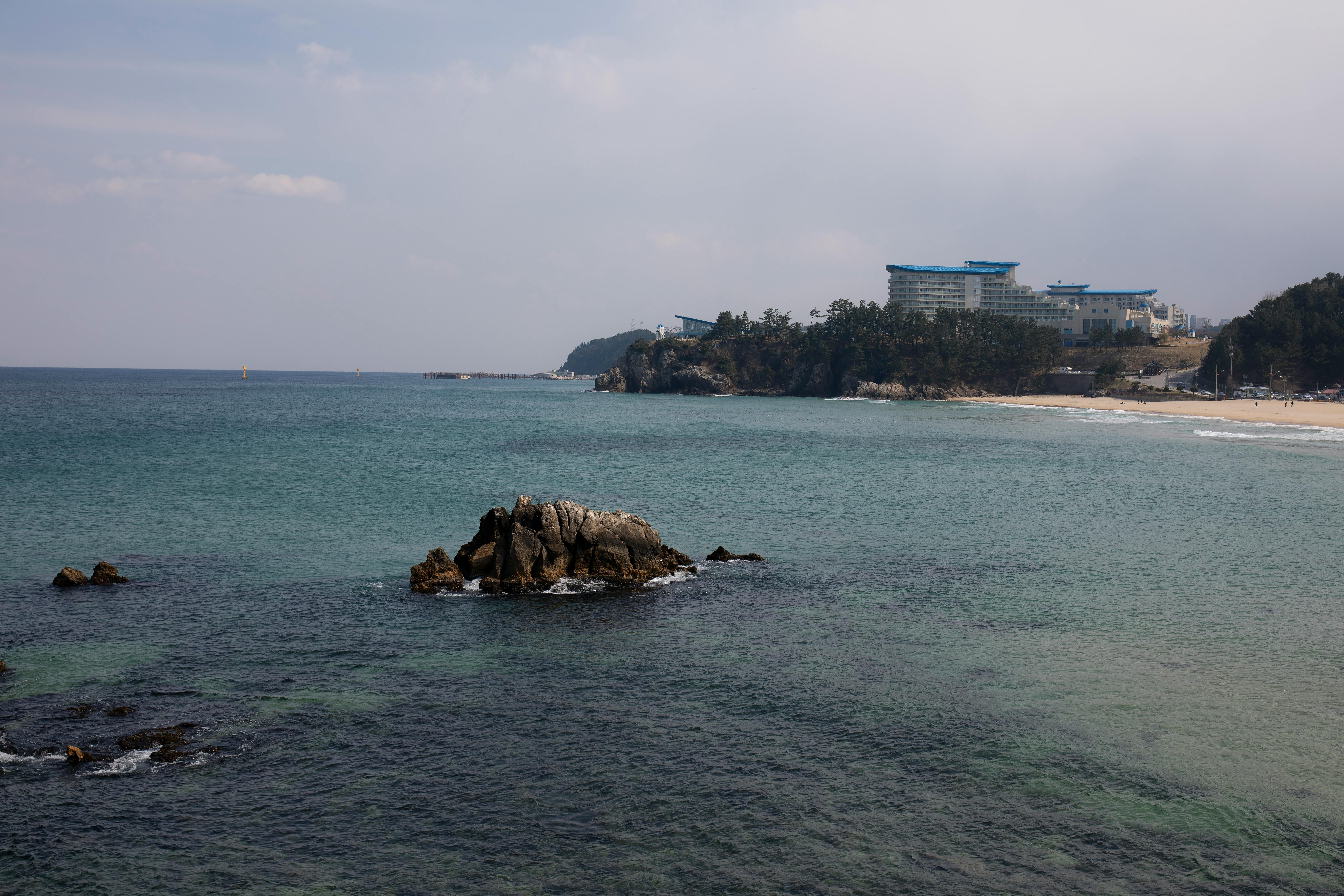 Npc Wave Gif Photos, Download The BEST Free Npc Wave Gif Stock Photos ...