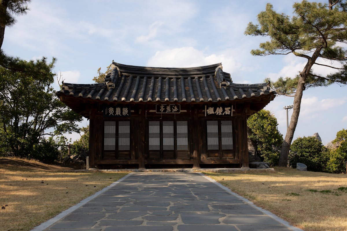 Linsecat+Korean Photos, Download The BEST Free Linsecat+Korean Stock ...