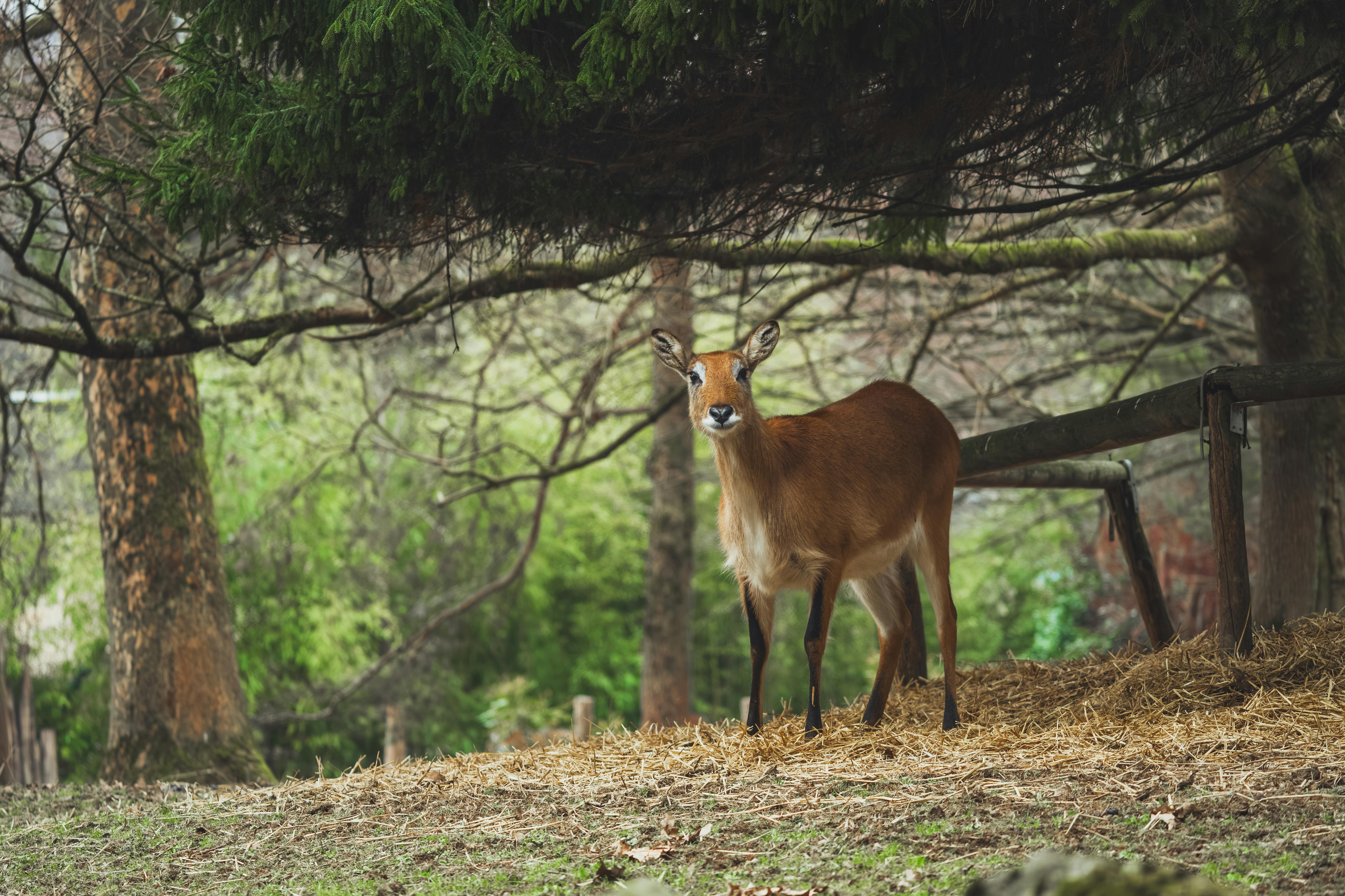 Foto de stock gratuita sobre al aire libre, amantes de la naturaleza ...