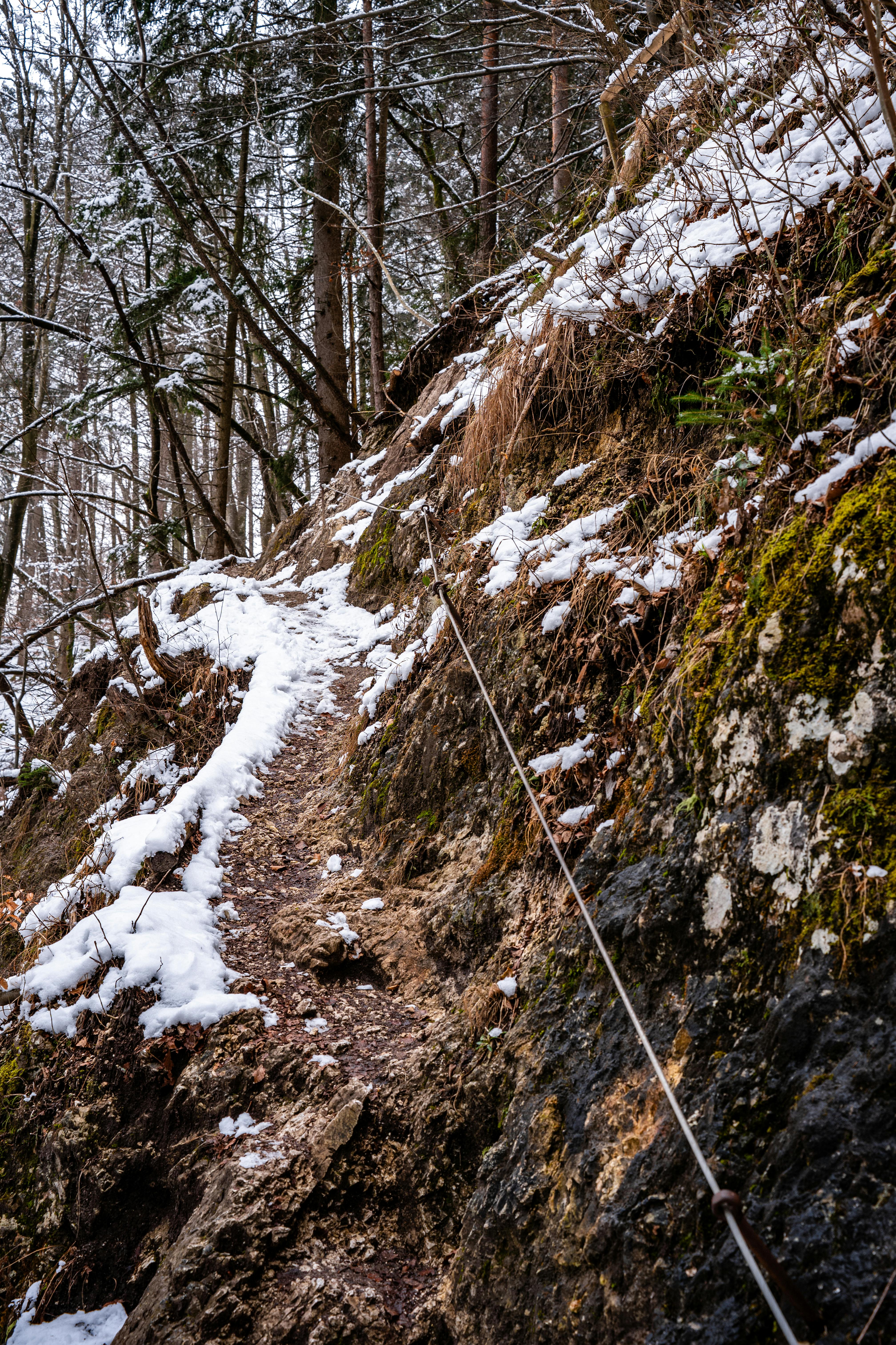 Misty Winter Hiking Trail in Snow-Covered Forest · Free Stock Photo