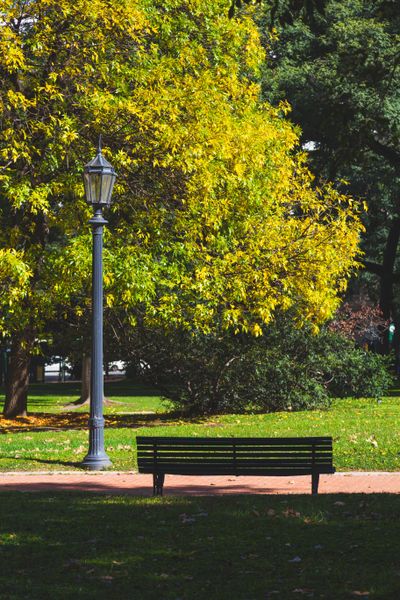Park Scene Photos, Download The BEST Free Park Scene Stock Photos & HD ...