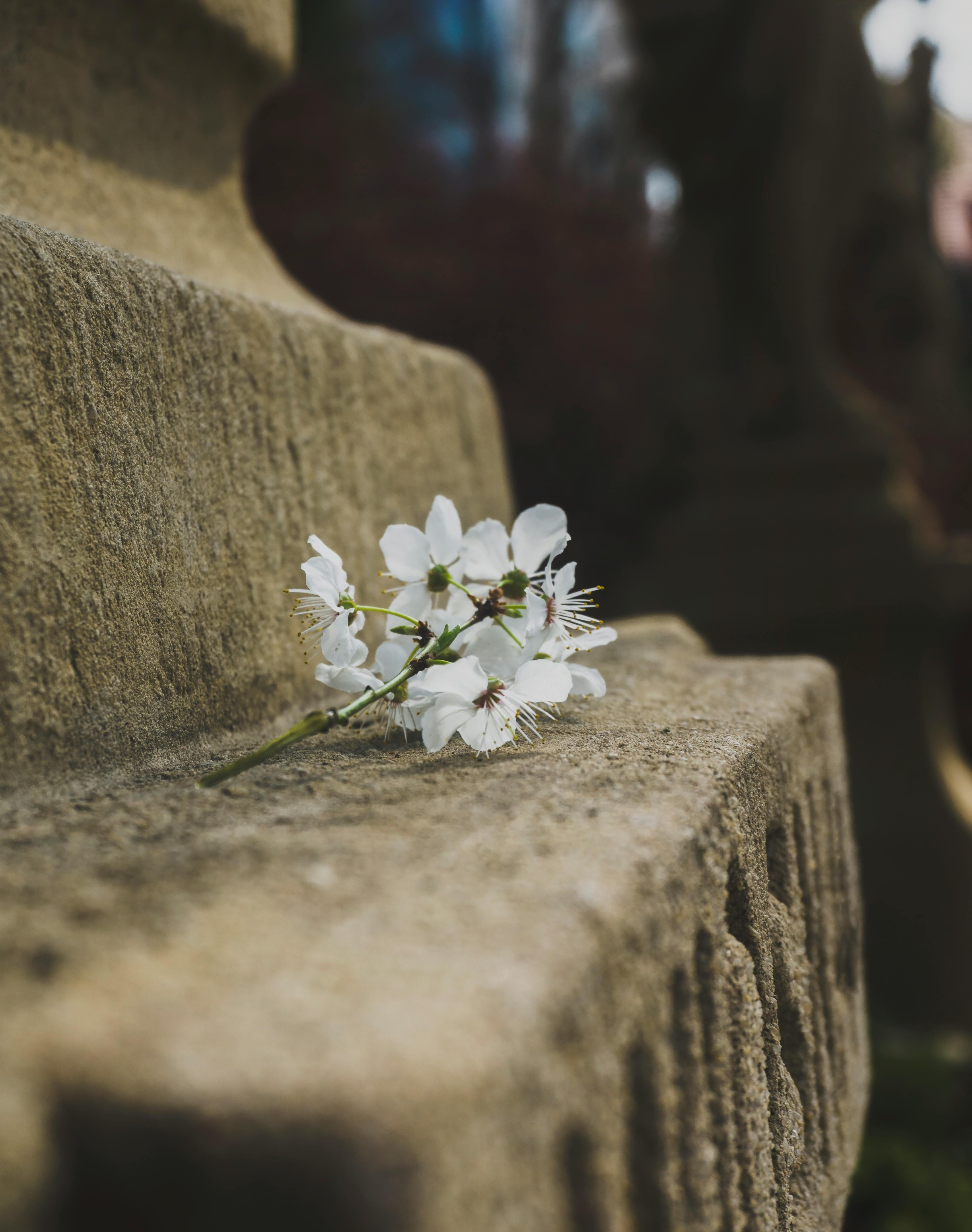 Memorial Backgrounds Photos, Download The BEST Free Memorial ...