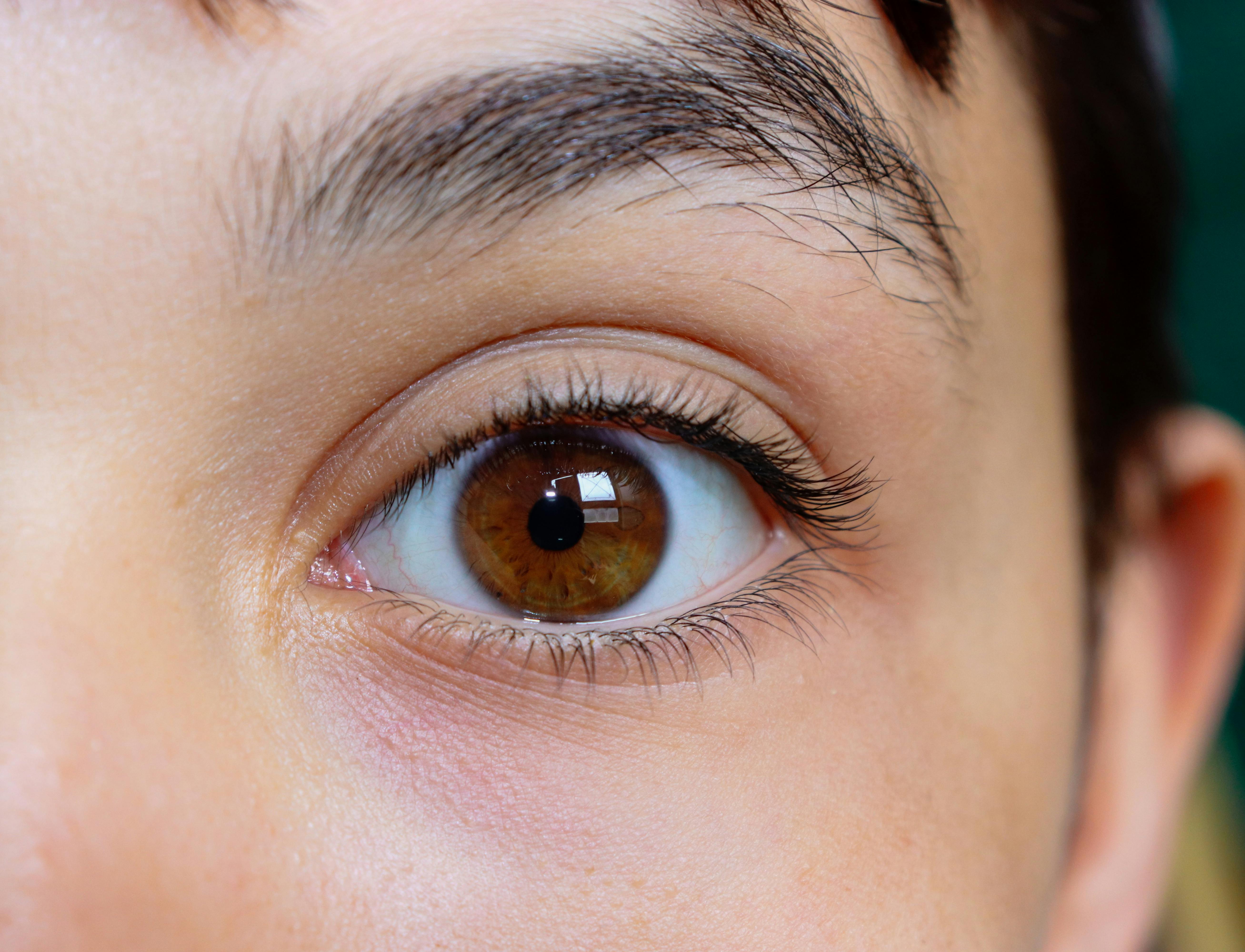 Close-Up of a Human Brown Eye with Eyelashes · Free Stock Photo