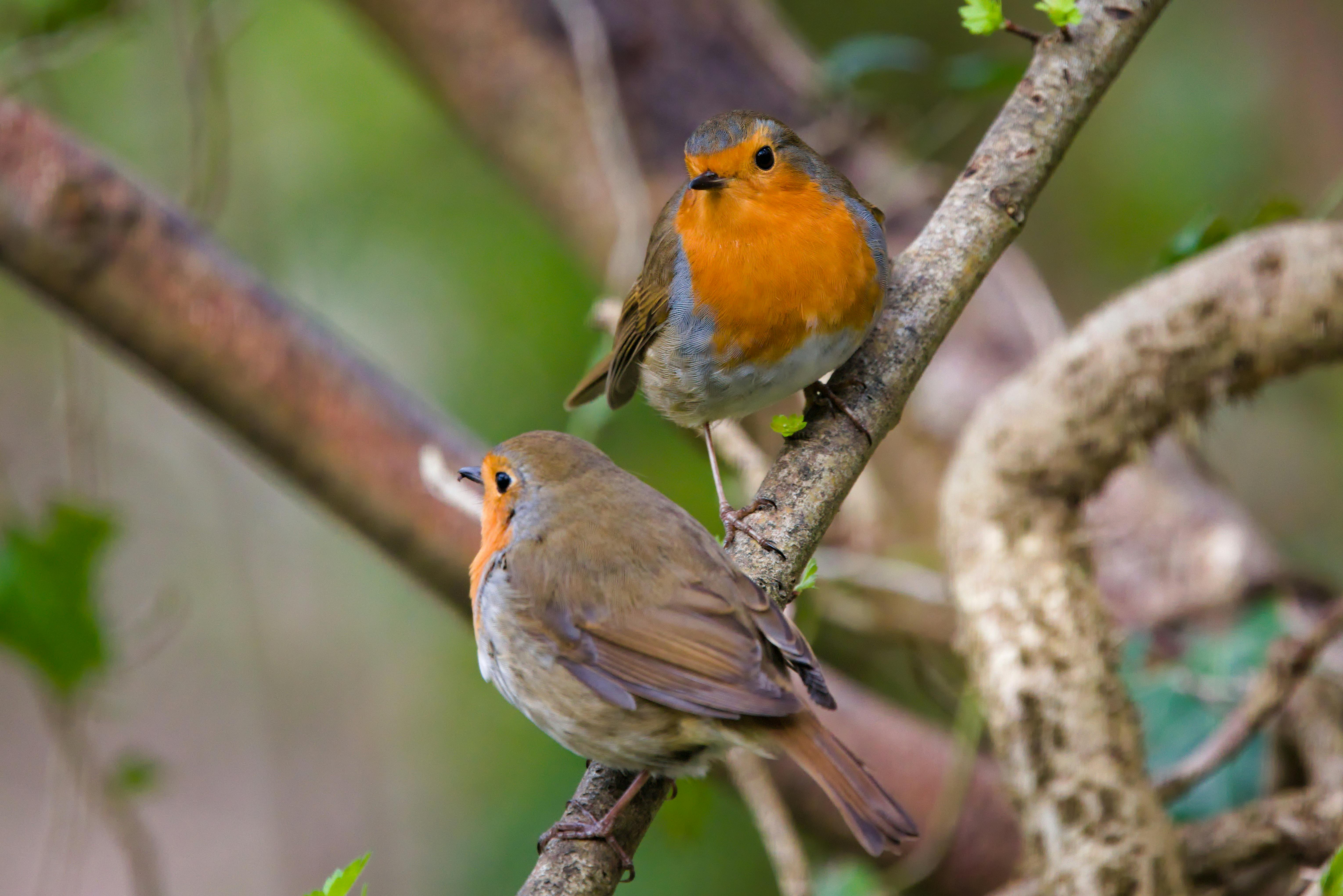 Small Size Photos, Download The BEST Free Small Size Stock Photos & HD ...