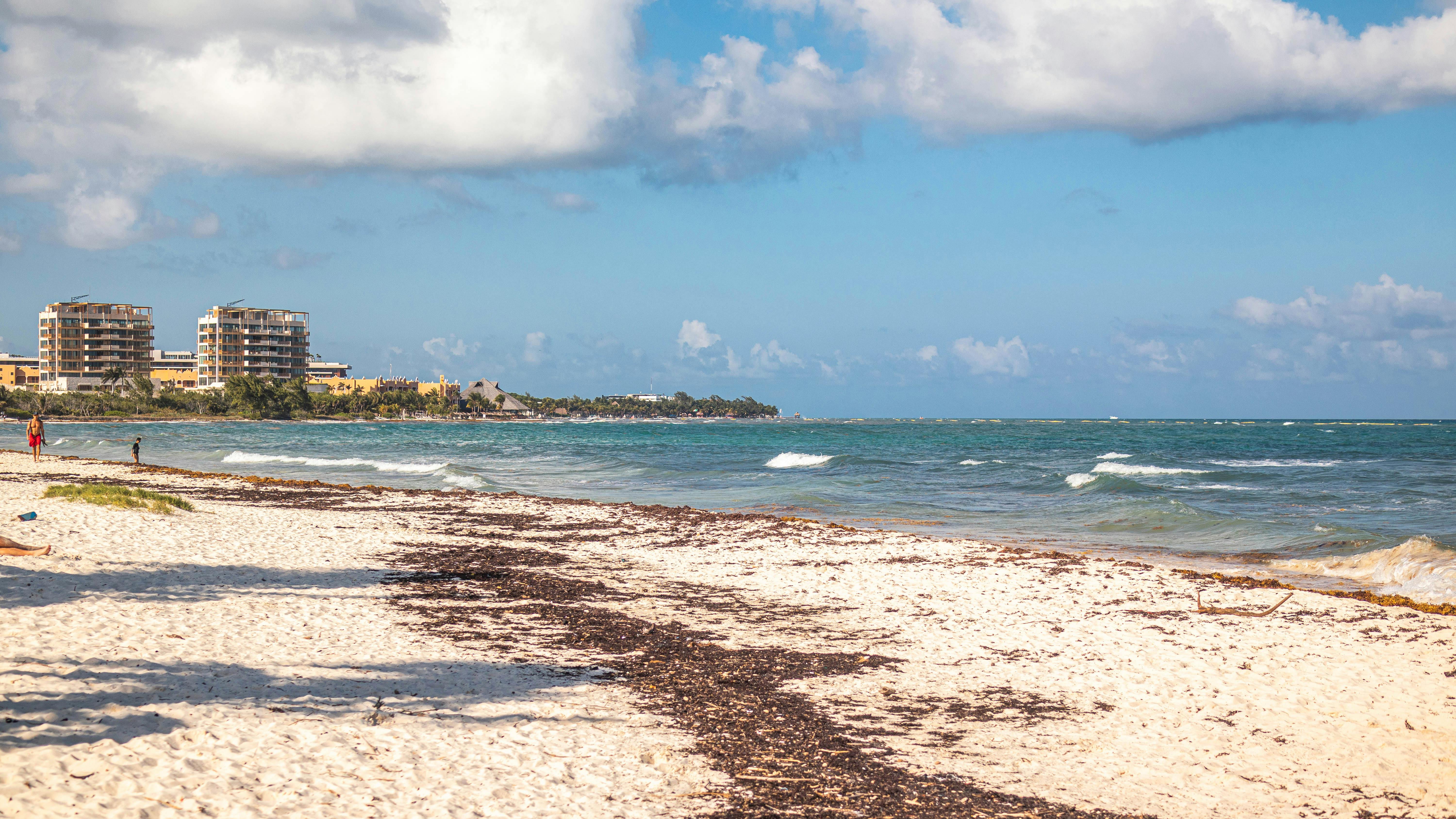 Sunny Beachfront with Coastal Buildings · Free Stock Photo