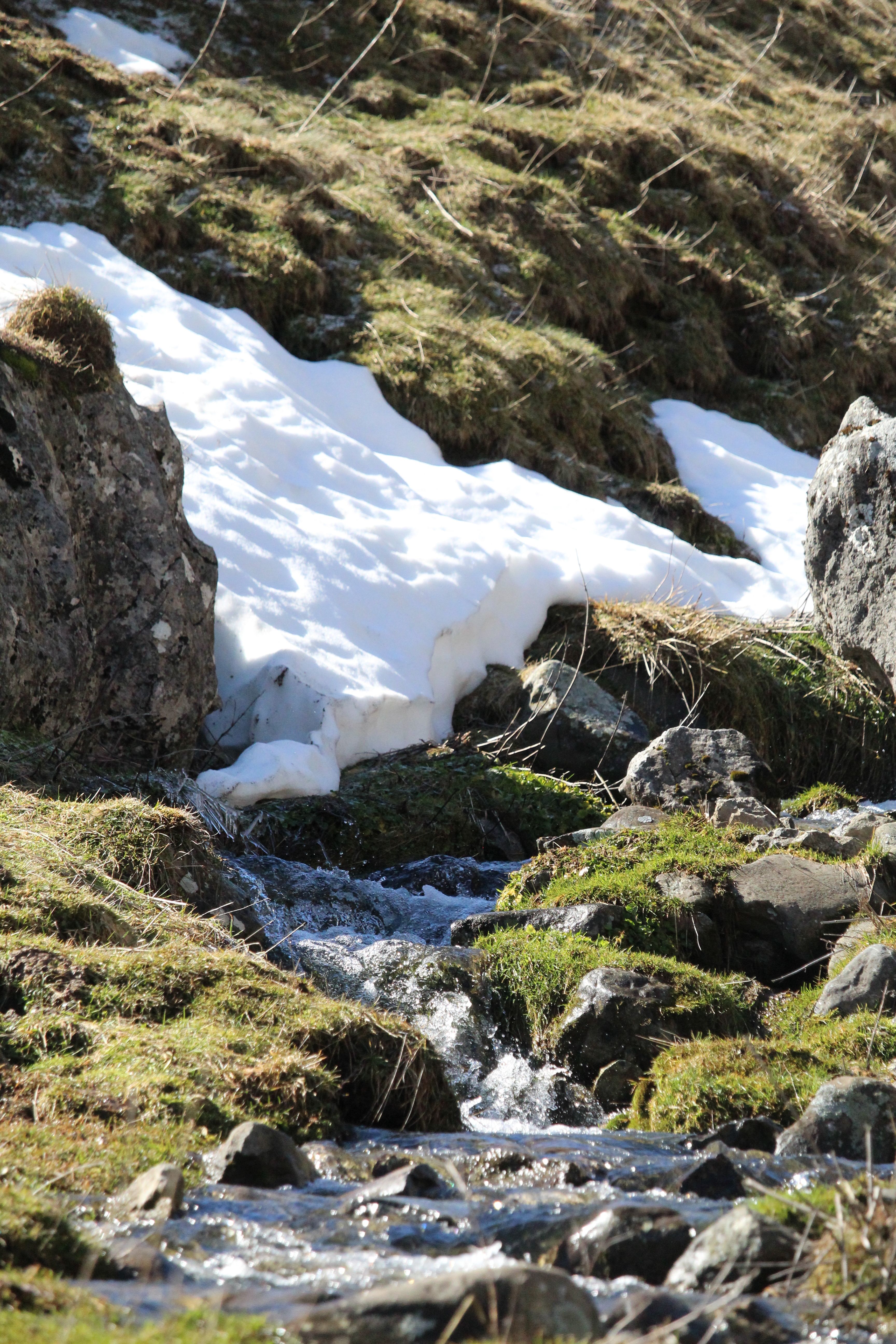 Serene Snow Melt in Jaca's Spring Landscape · Free Stock Photo