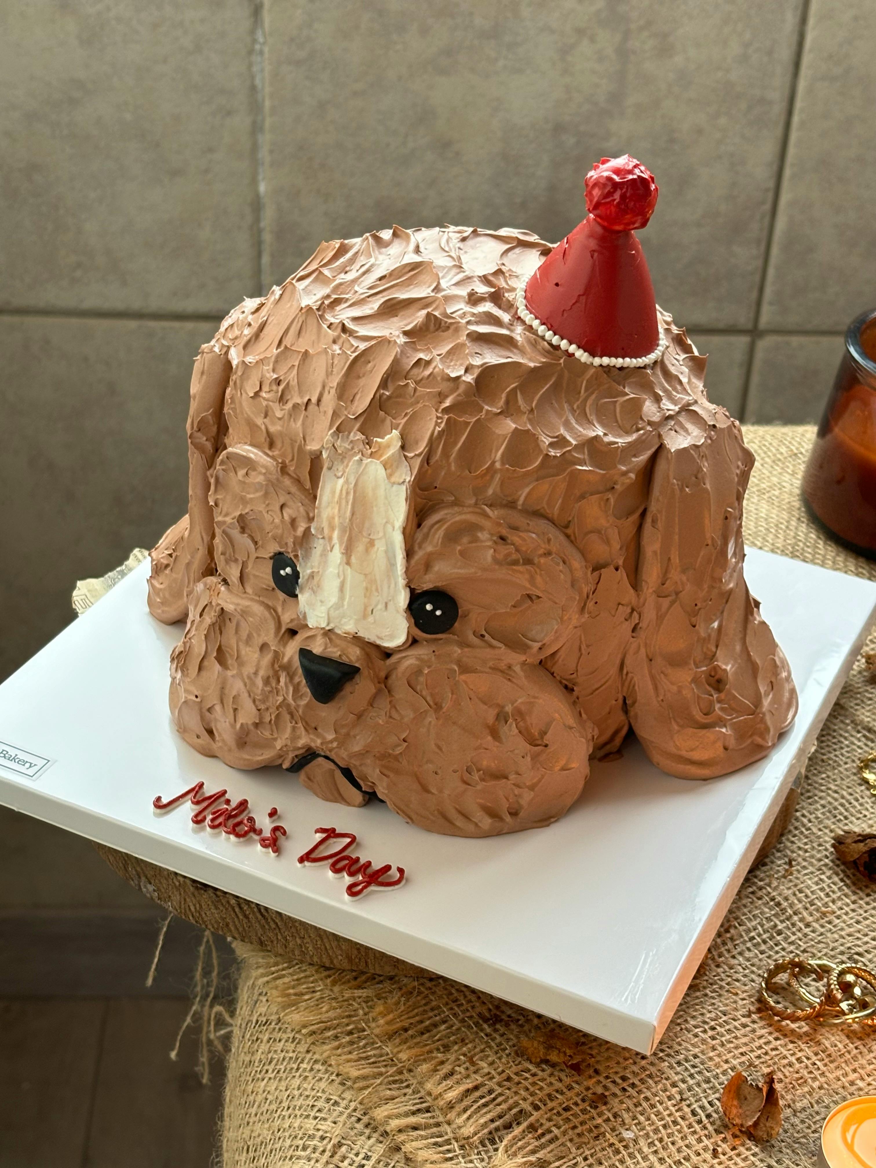 Adorable Dog-Shaped Birthday Cake with Party Hat · Free Stock Photo