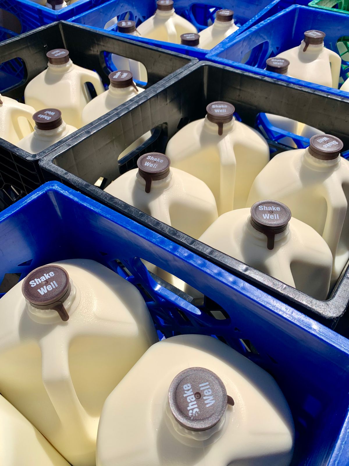 Gallon Of Milk Photos, Download The BEST Free Gallon Of Milk Stock ...