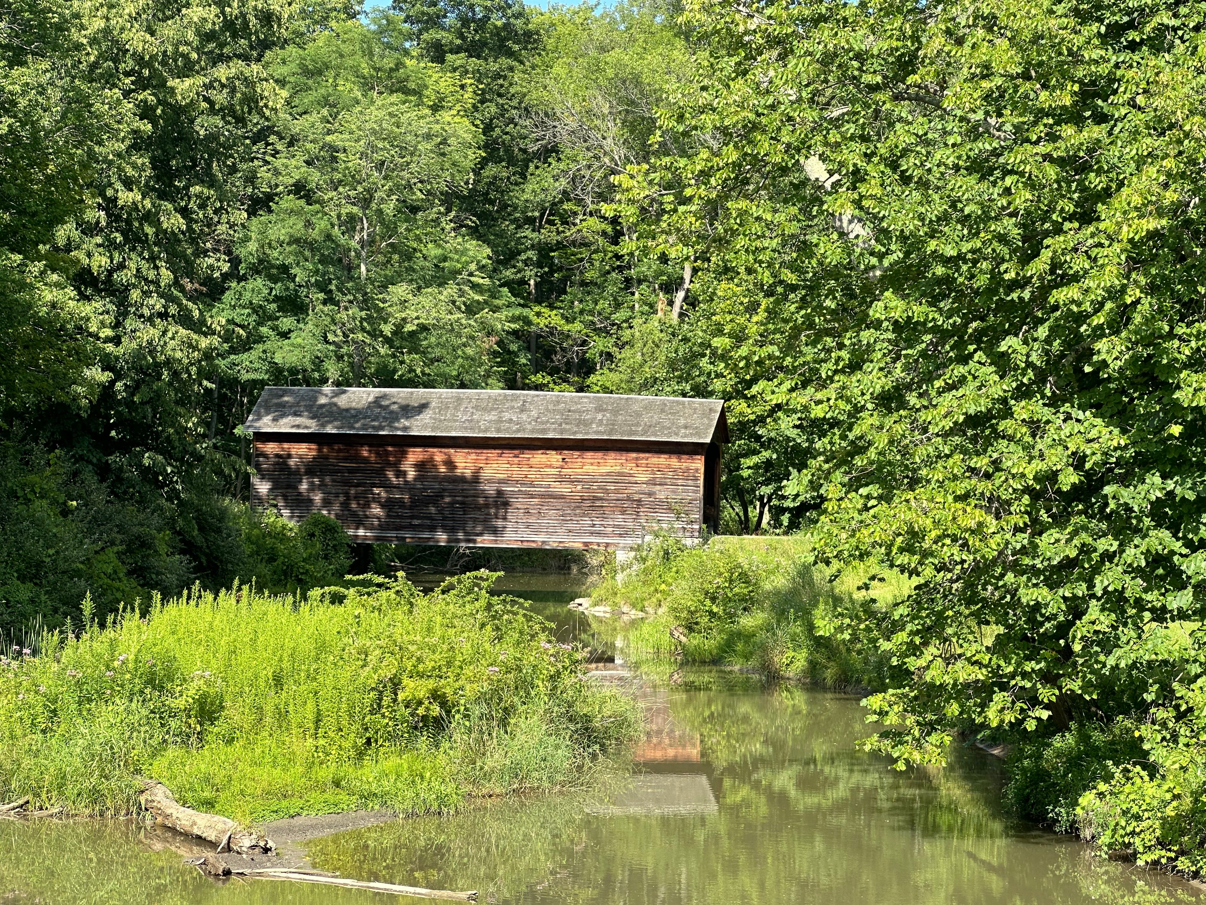 Scenic Summer Covered Bridge in Greenery · Free Stock Photo
