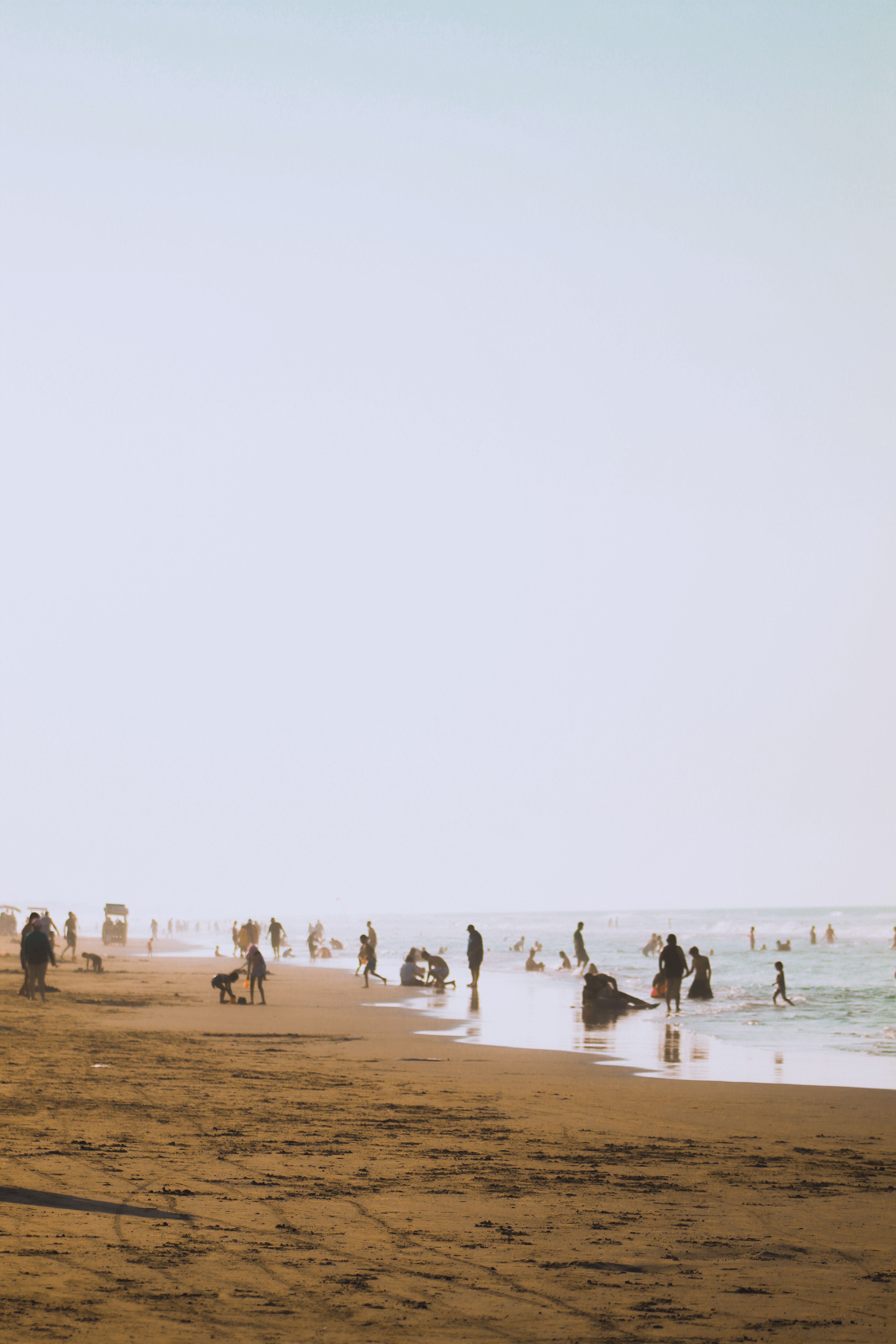 Crowded Beach at Sunset with Families and Dogs · Free Stock Photo