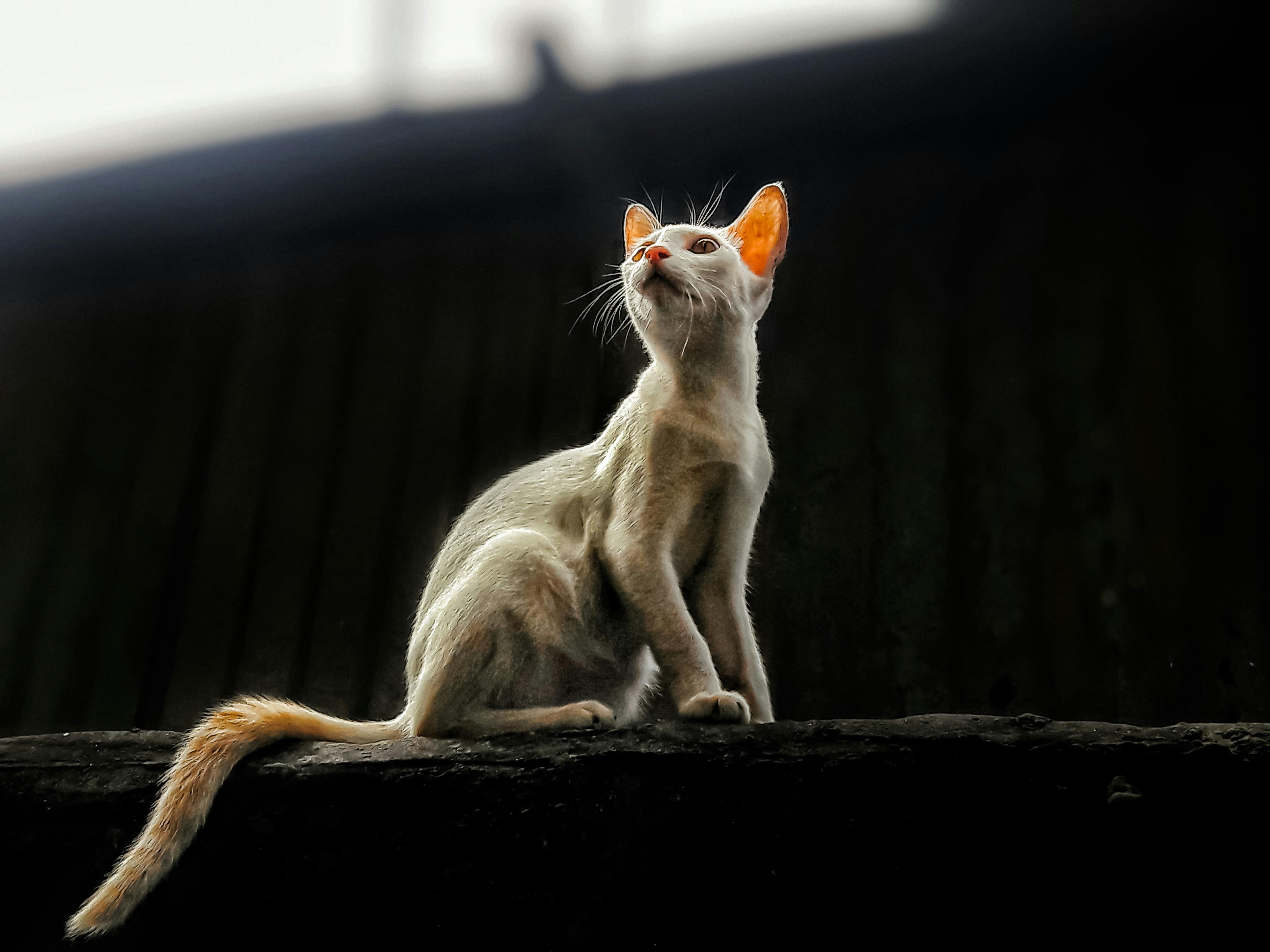 30.000+ Foto Ouhlas&cvid=69a97c12f45e451194322efff4a923a6&gs_lcrp ...