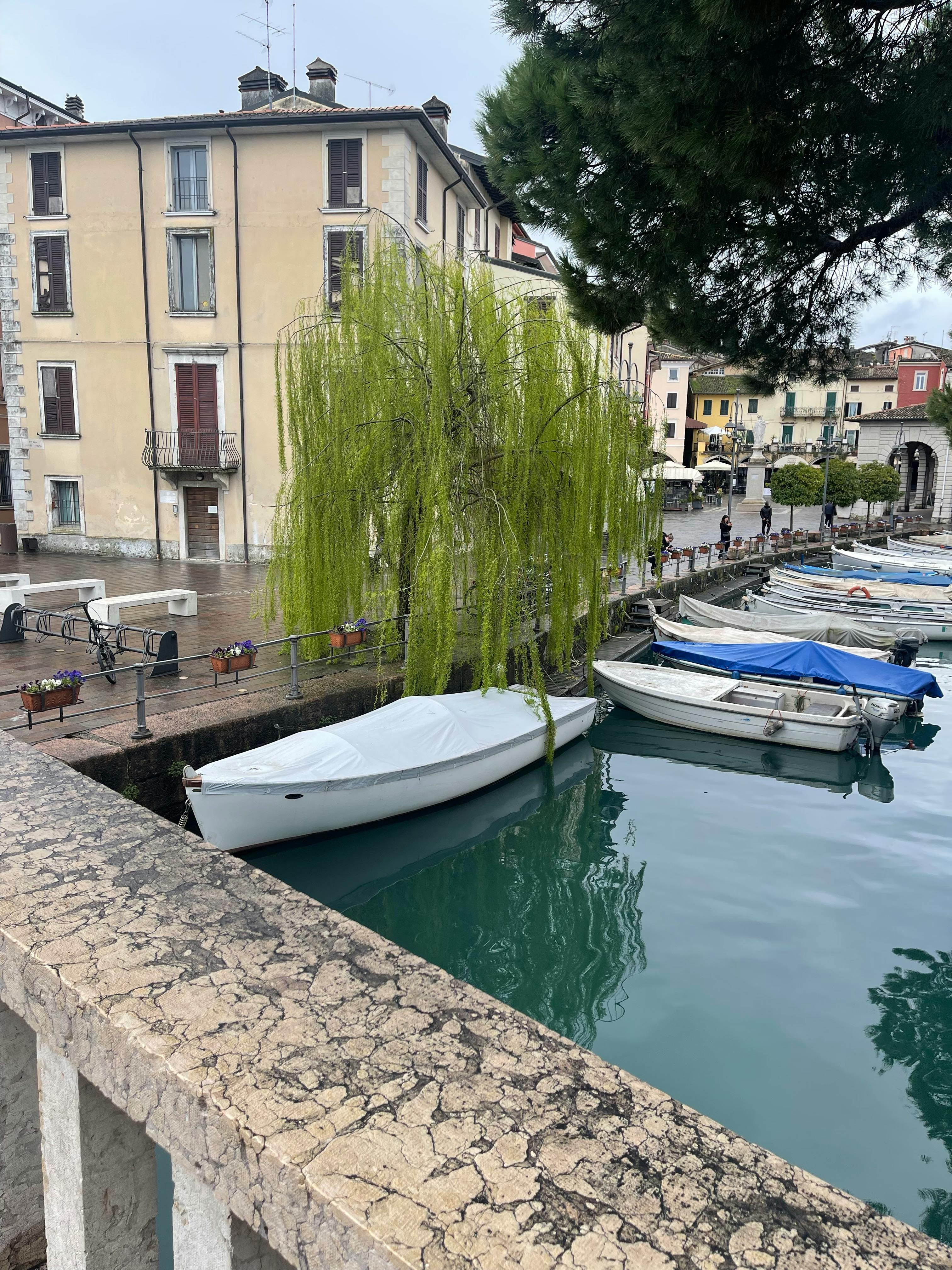 Scenic Waterfront View with Boats and Willow Tree · Free Stock Photo