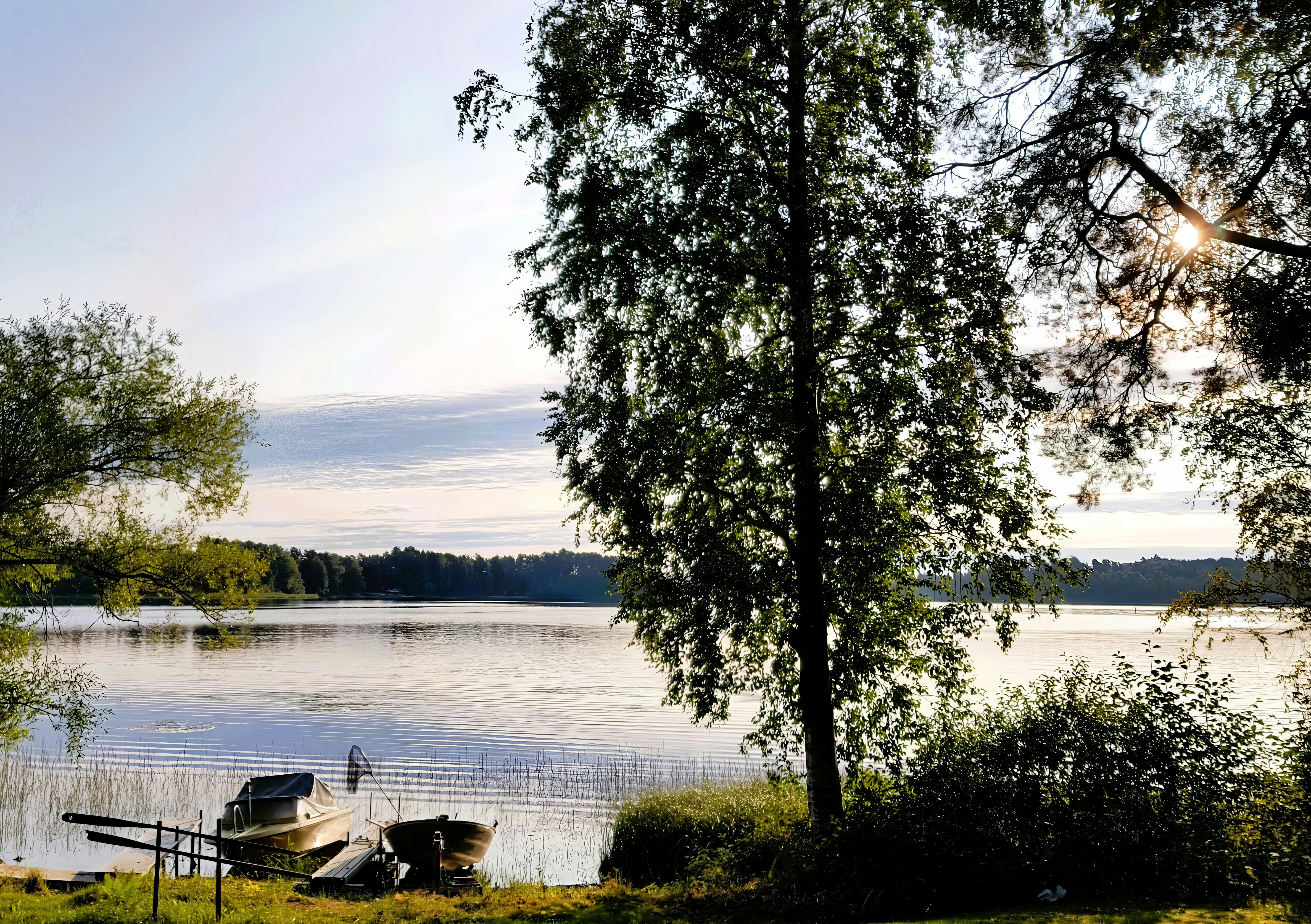 Serene Lakeside Morning with Boats and Trees · Free Stock Photo